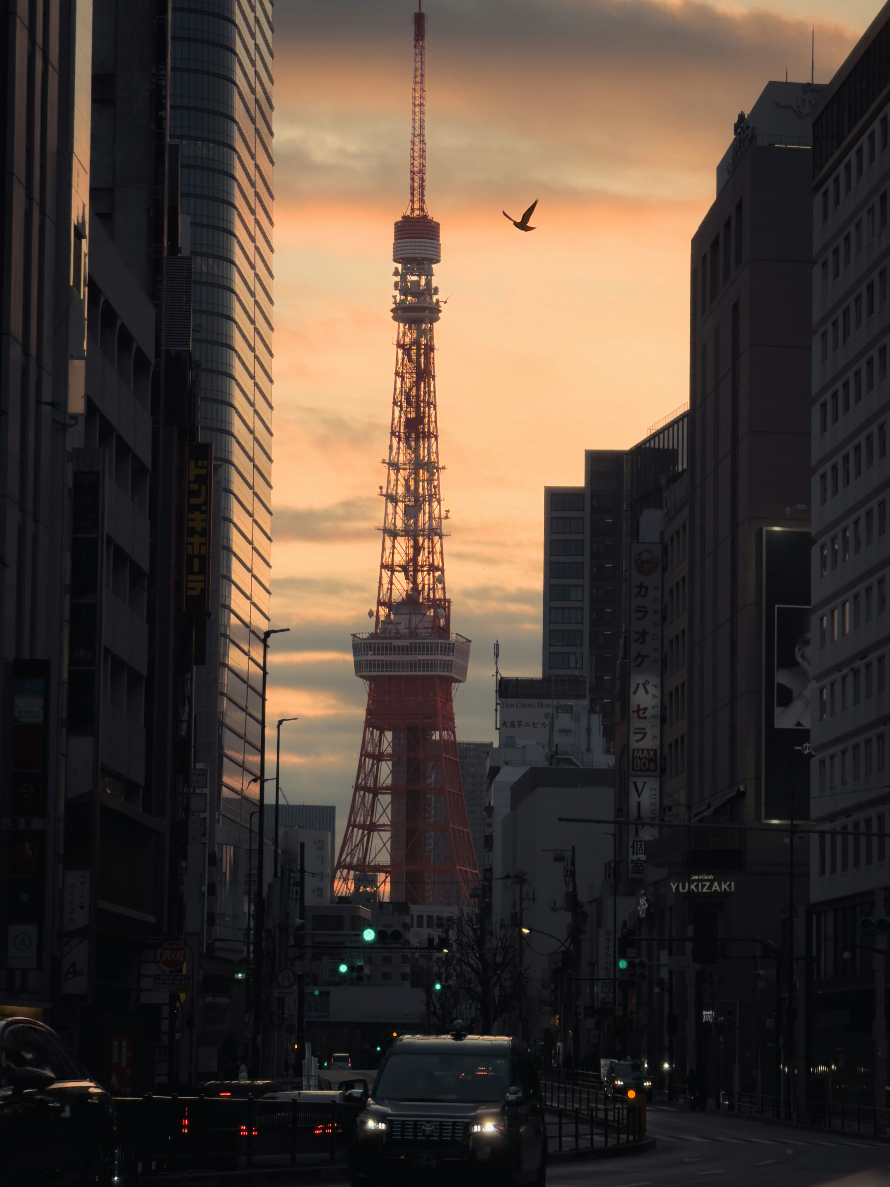 Photo by wayne shang with Apple iPhone 16 Pro