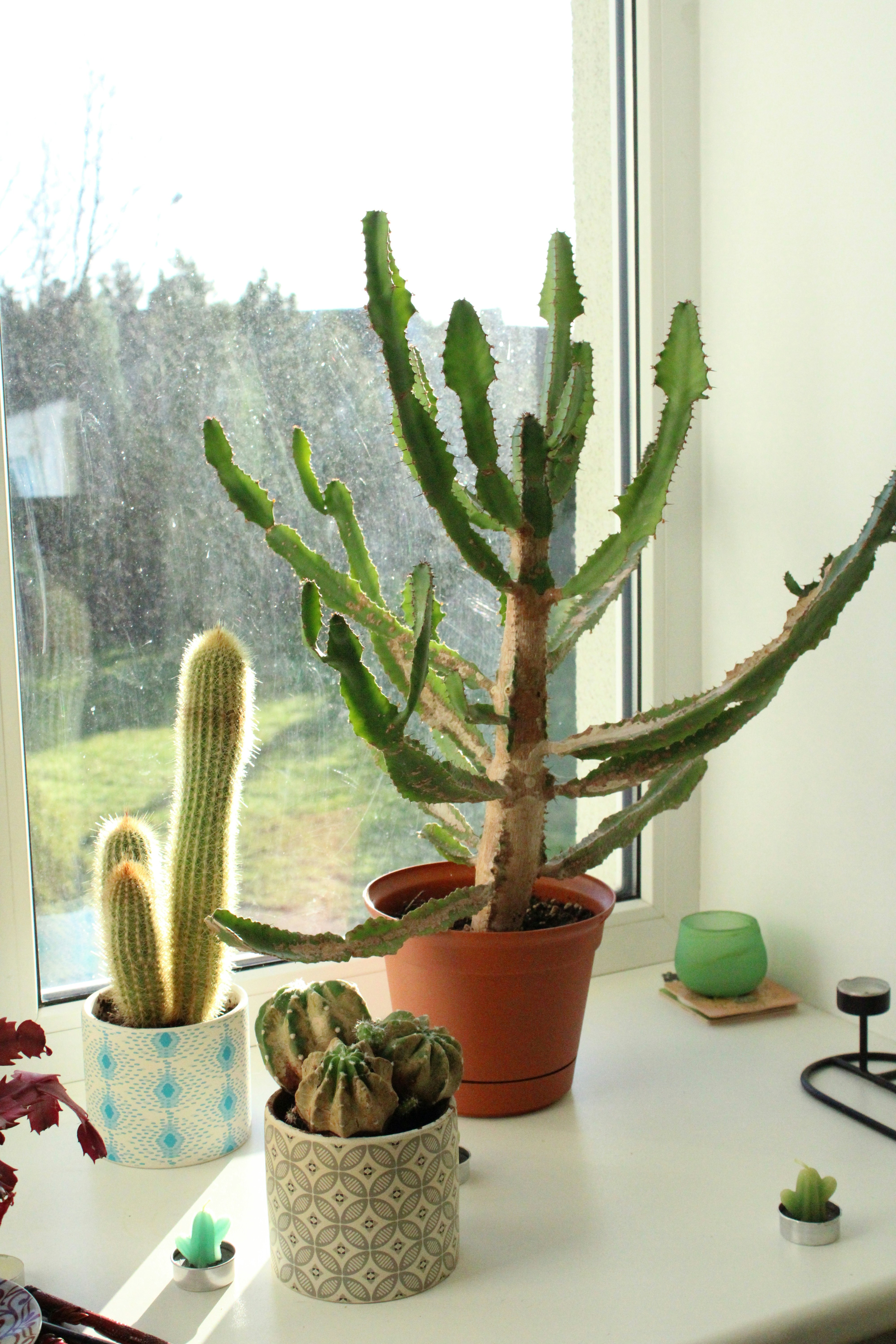 Photo by Karina Syrotiuk with Canon EOS 2000D