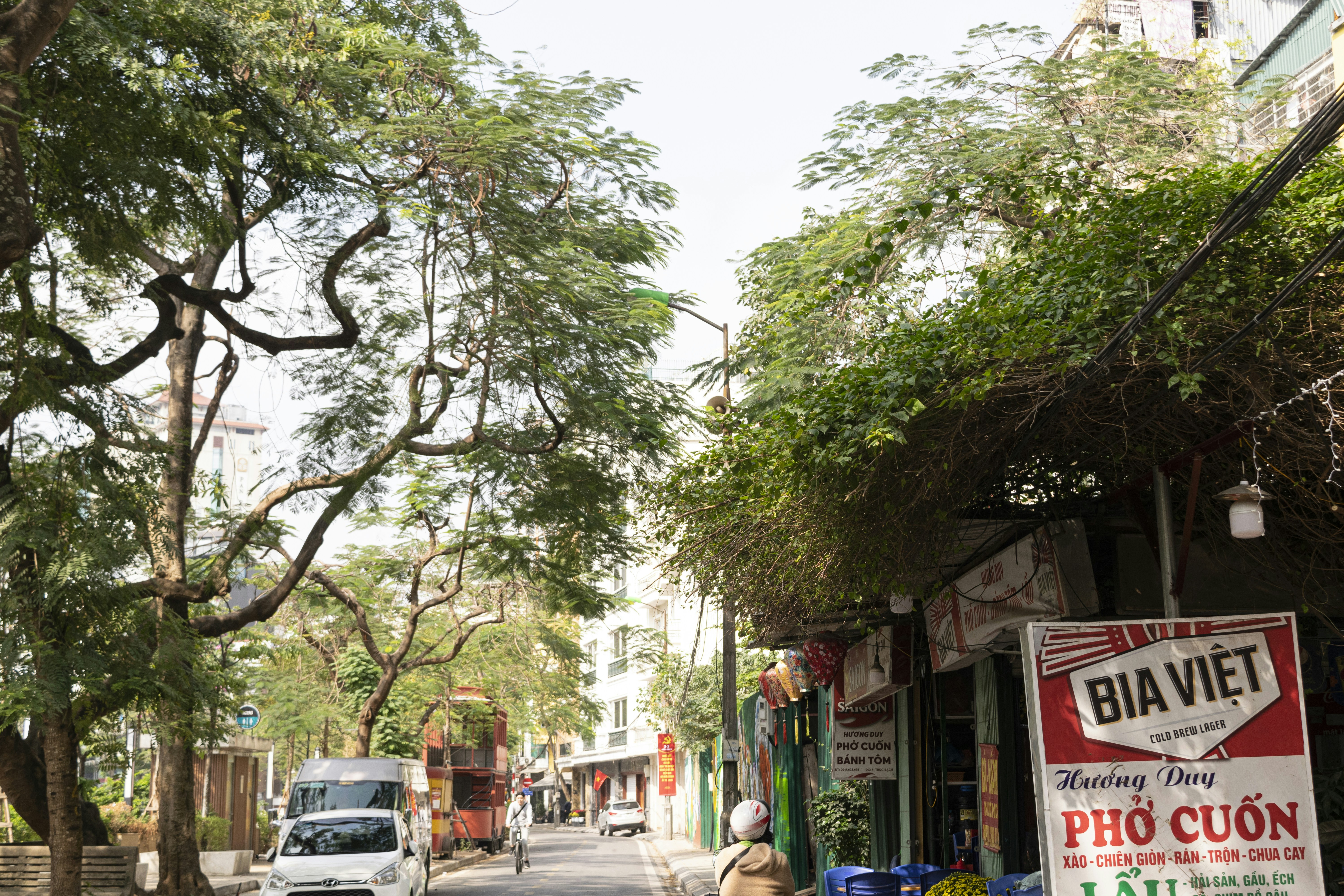 Tree-lined street with parked vehicles and pedestrians, featuring local signage and urban greenery.