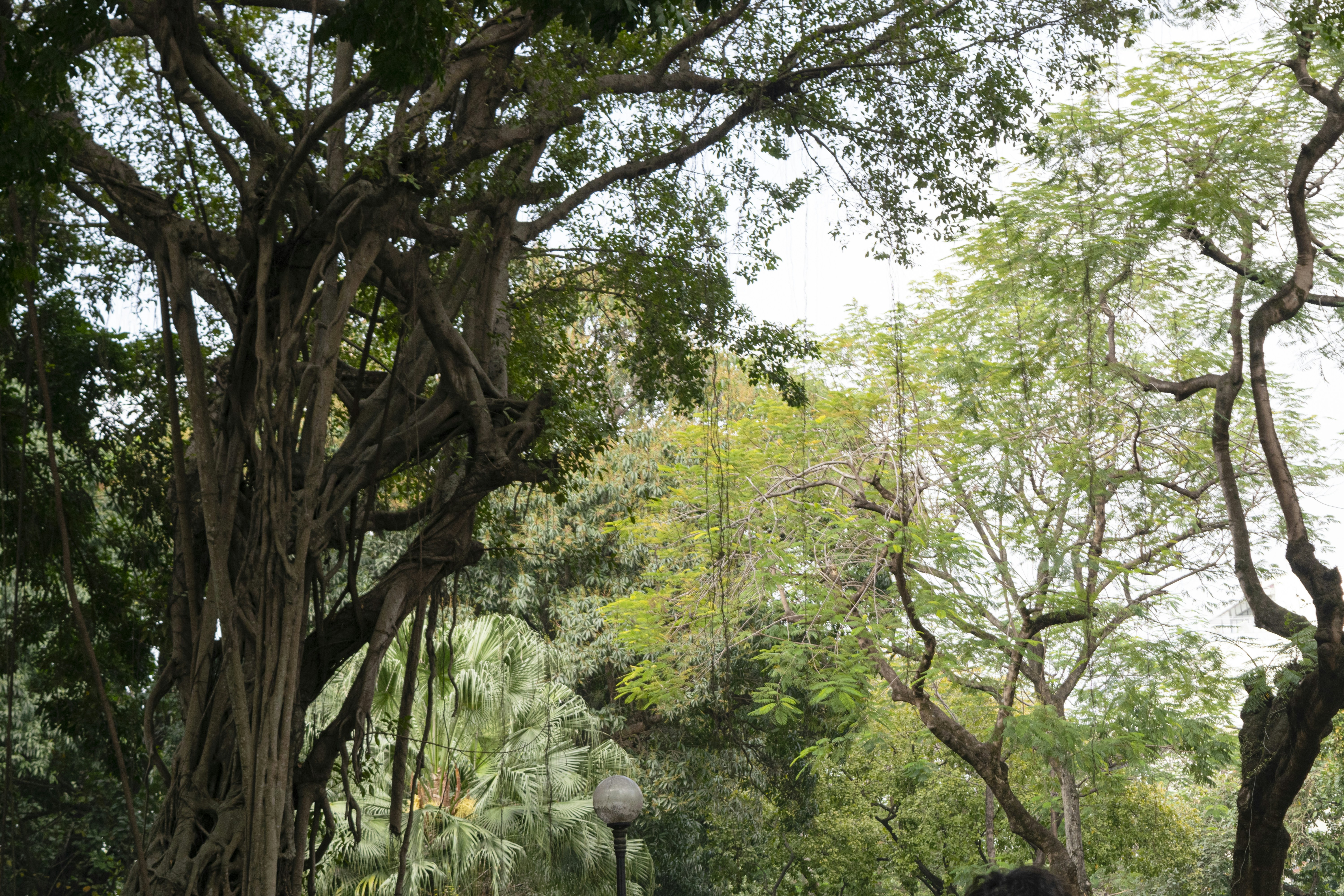 Photo by Hoàng Anh Nguyễn with Nikon D5300