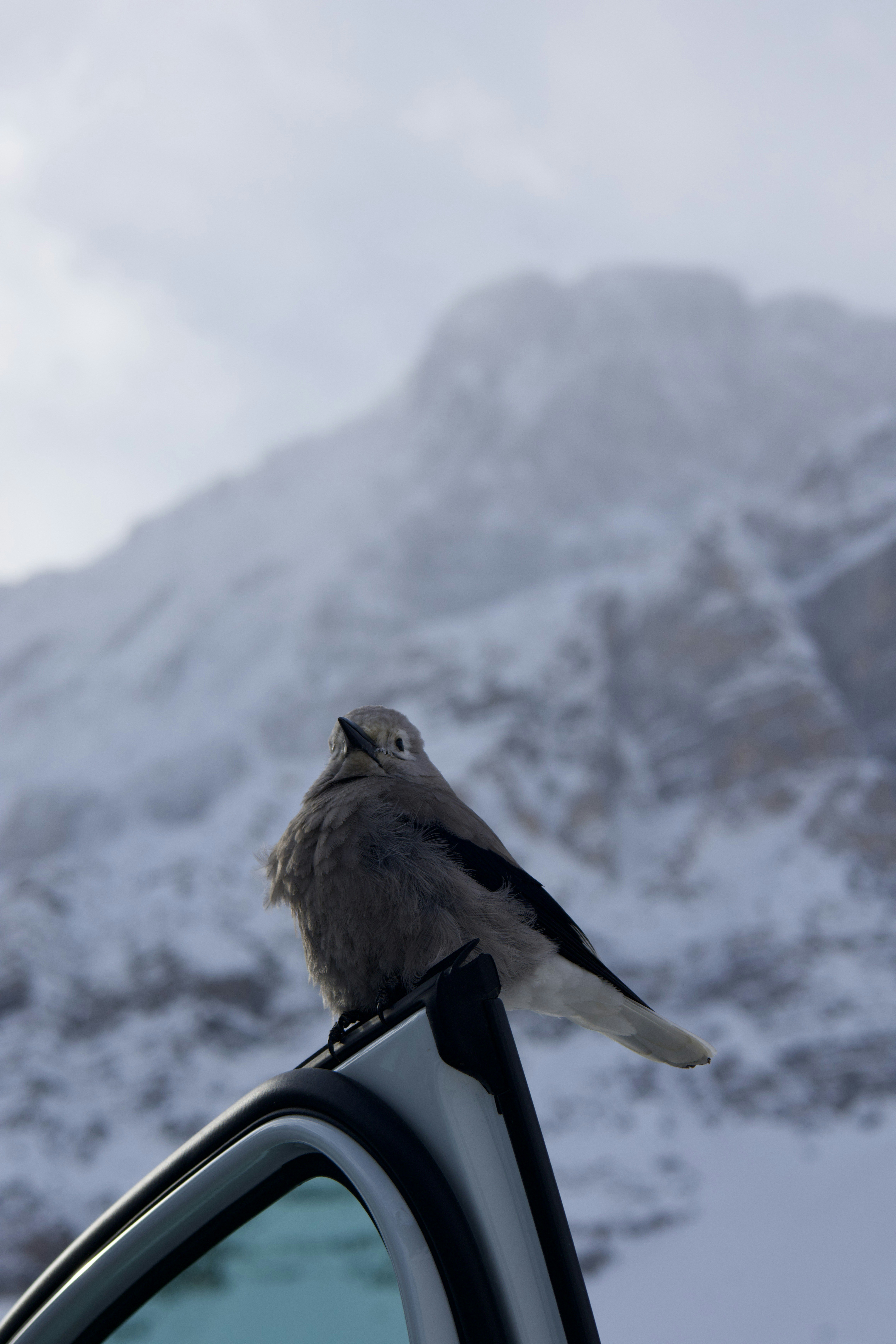 Arthur Lamontagne (@alam06) | Komunitas Foto Unsplash