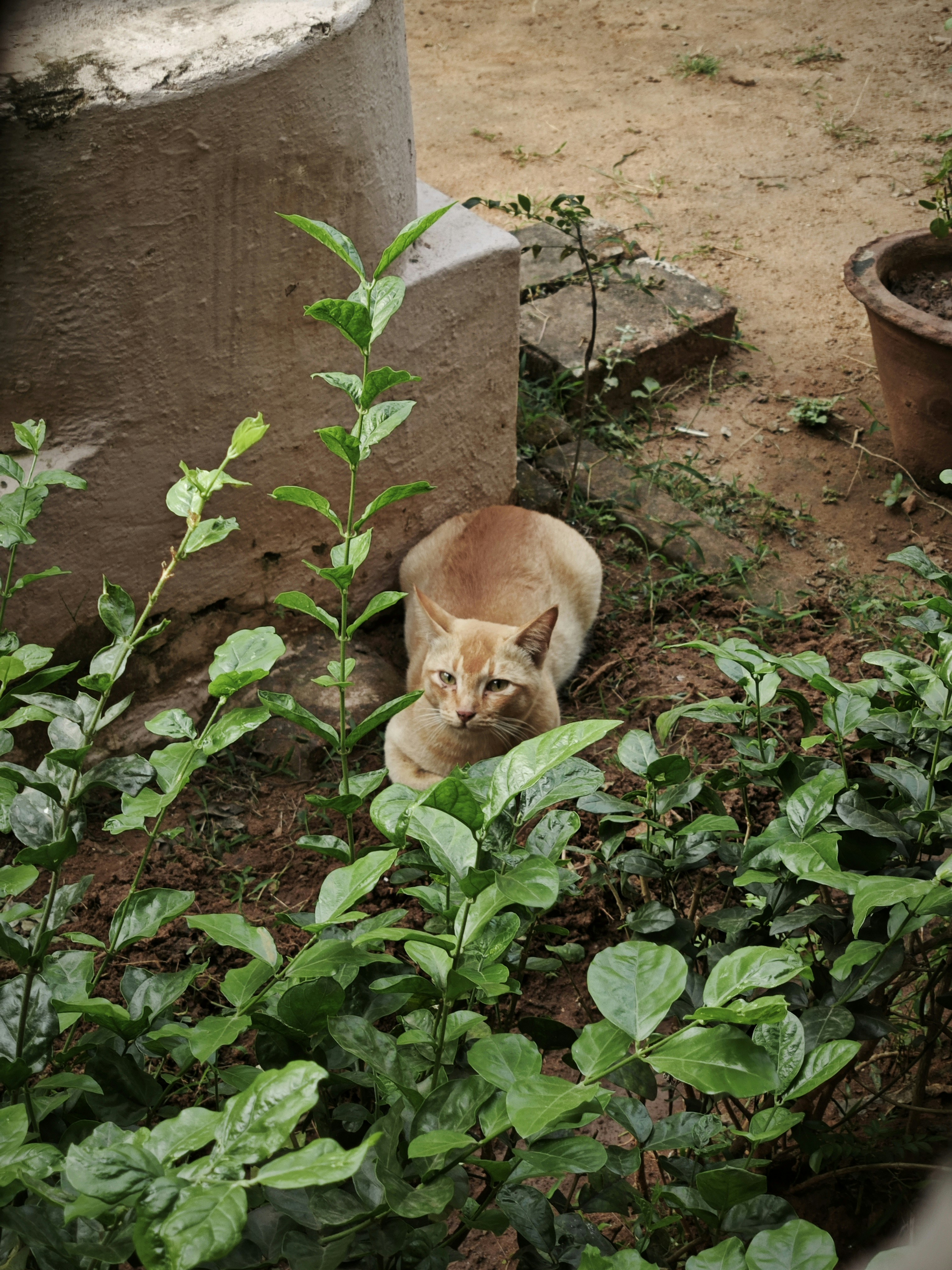 Photo by Miom _0326 with Xiaomi 14 Civi