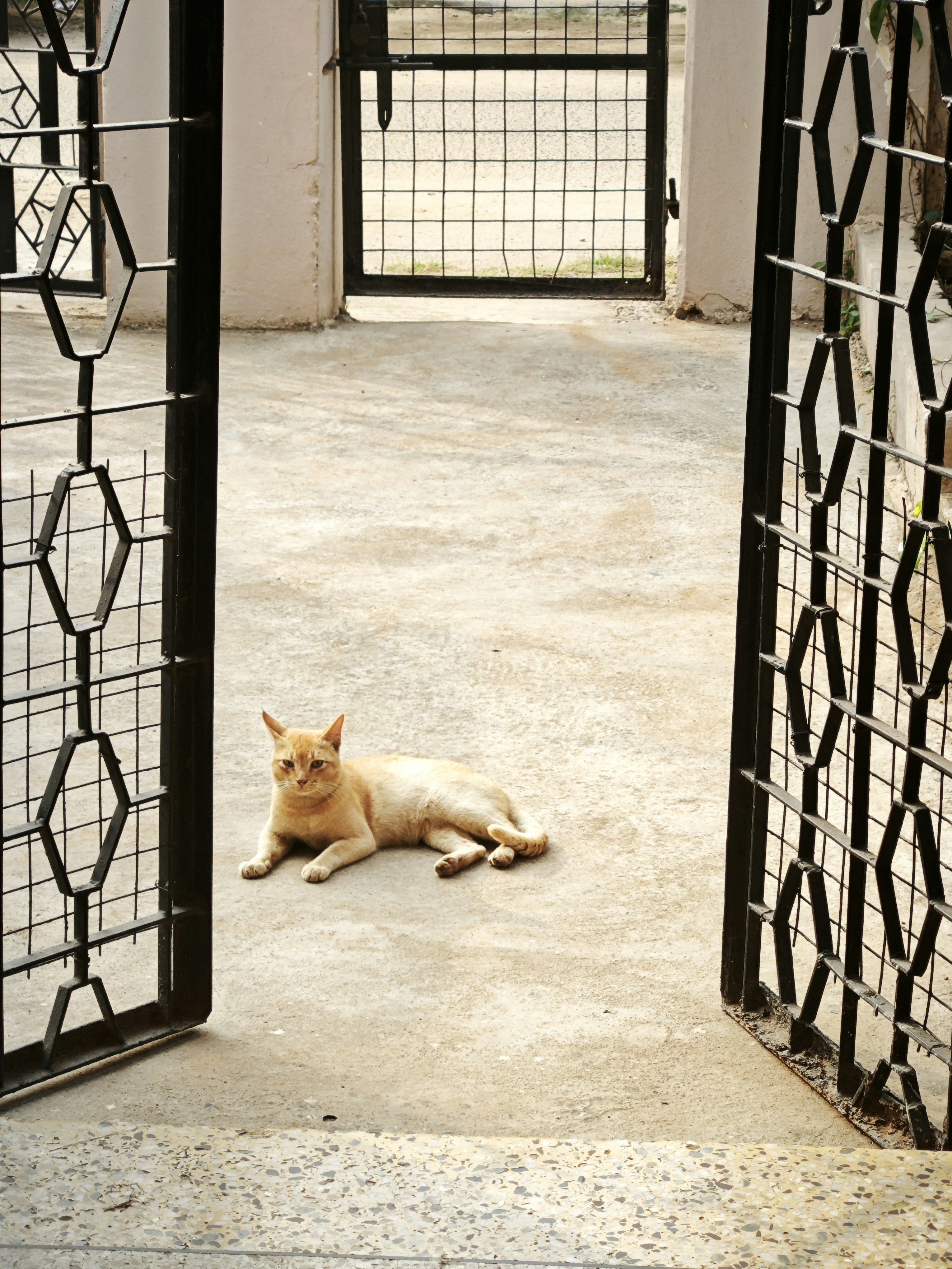 Photo by Miom _0326 with Xiaomi 14 Civi