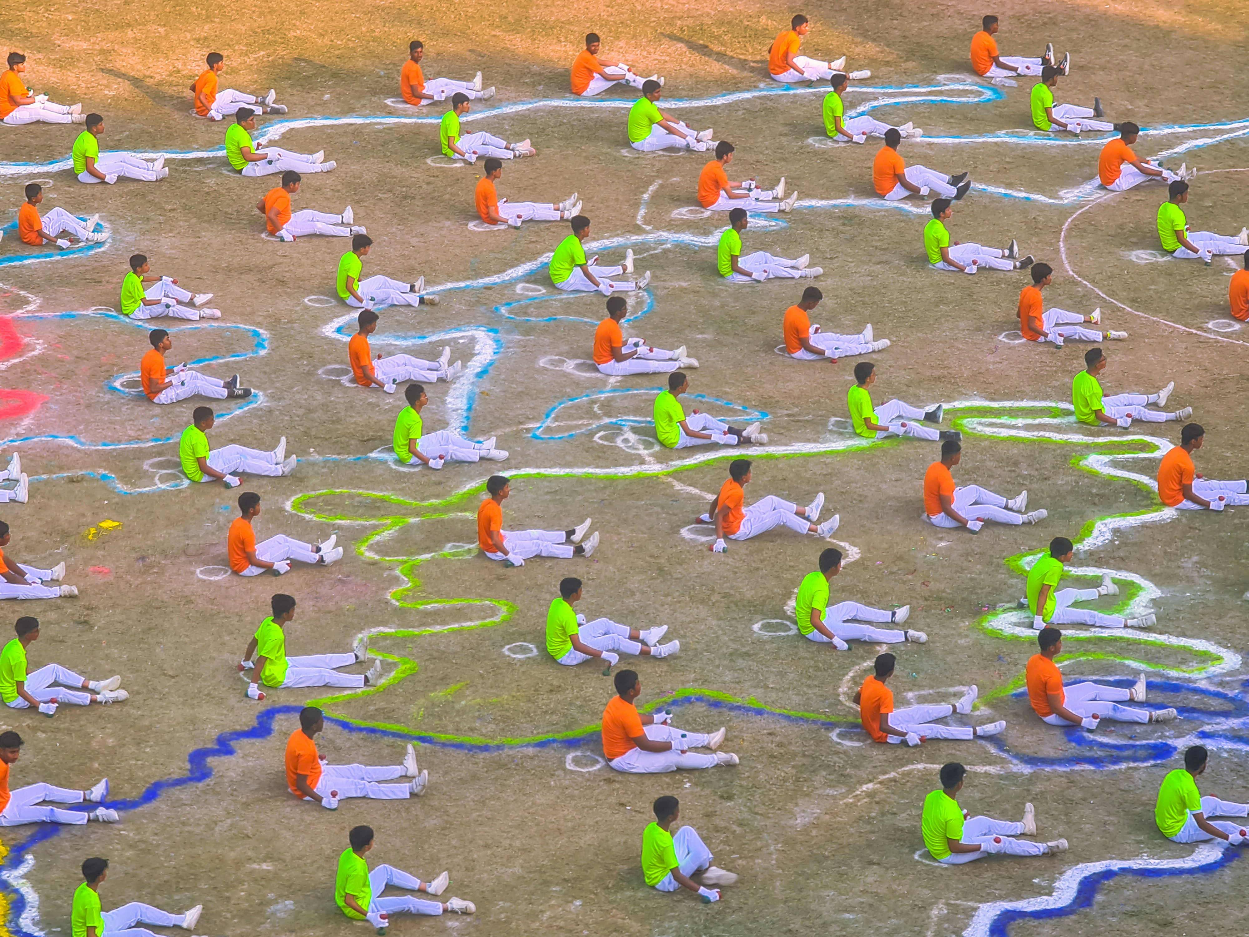 Choreographed Field of Color: Rows of Orange and Neon in a Painted Parade