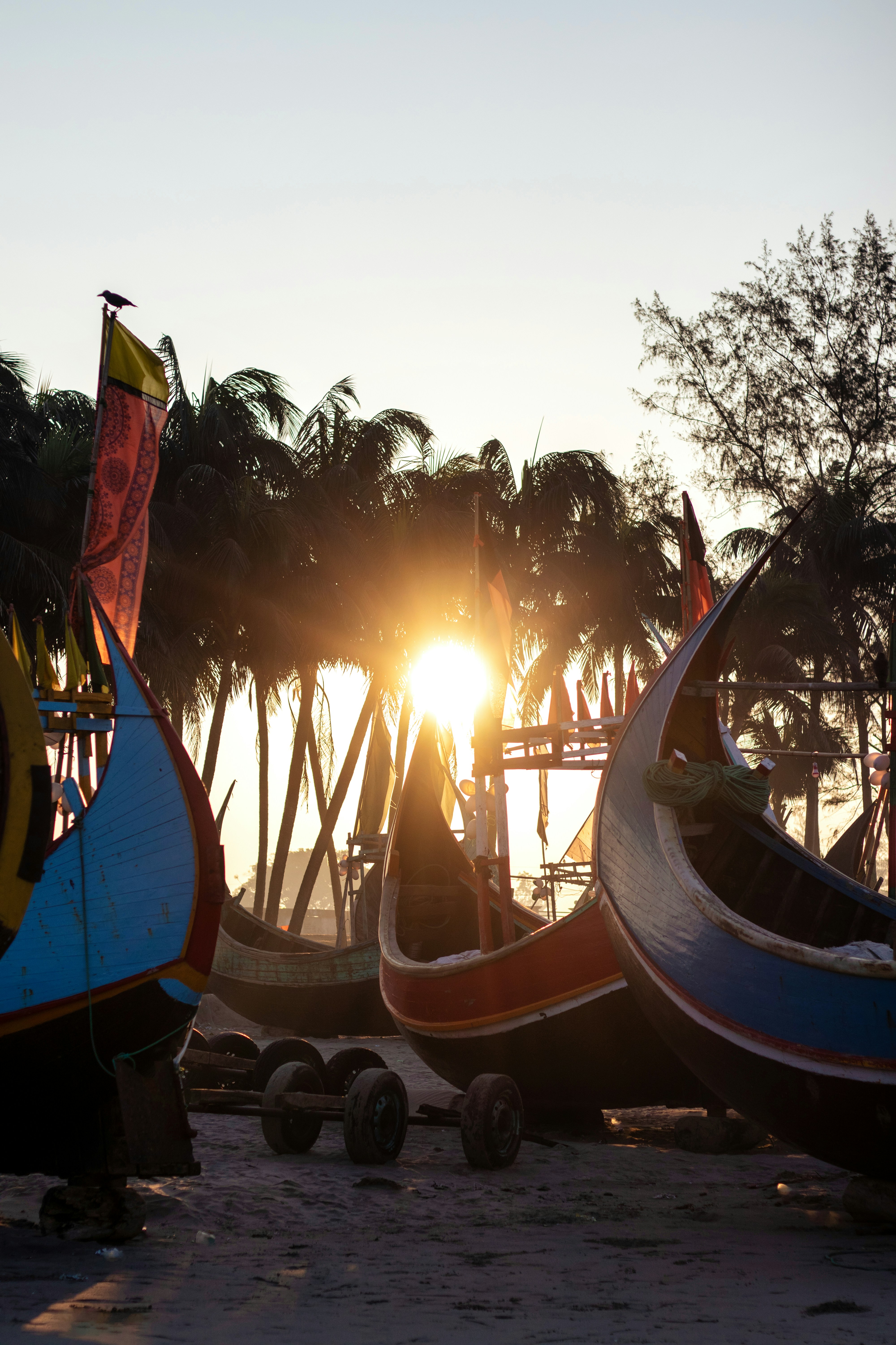 Sunlit Boats at Dawn: A Quiet Harbor of Colorful Gondolas