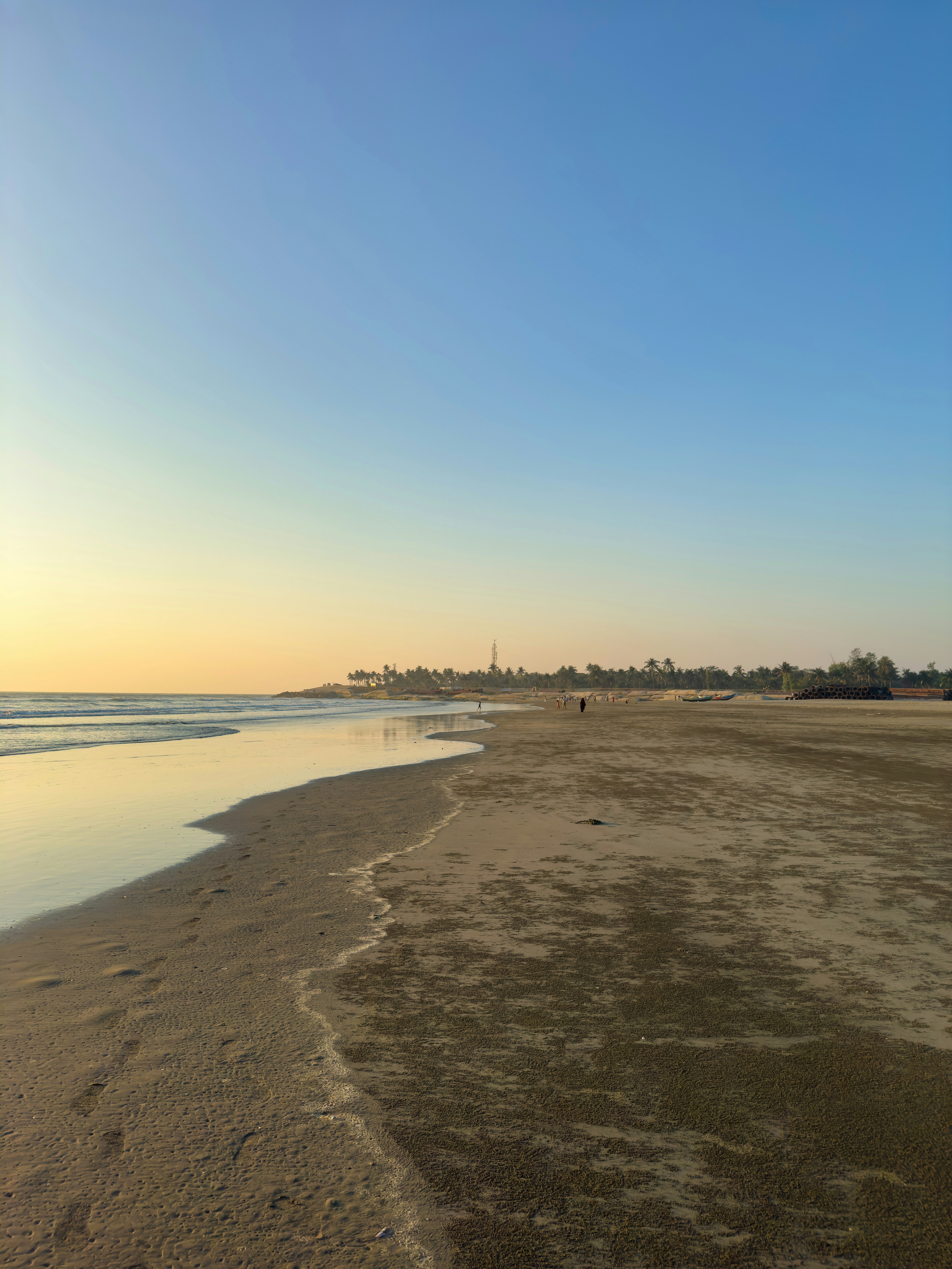 Golden Hour Along a Quiet Beach: Distant Palm Horizon at Sunset