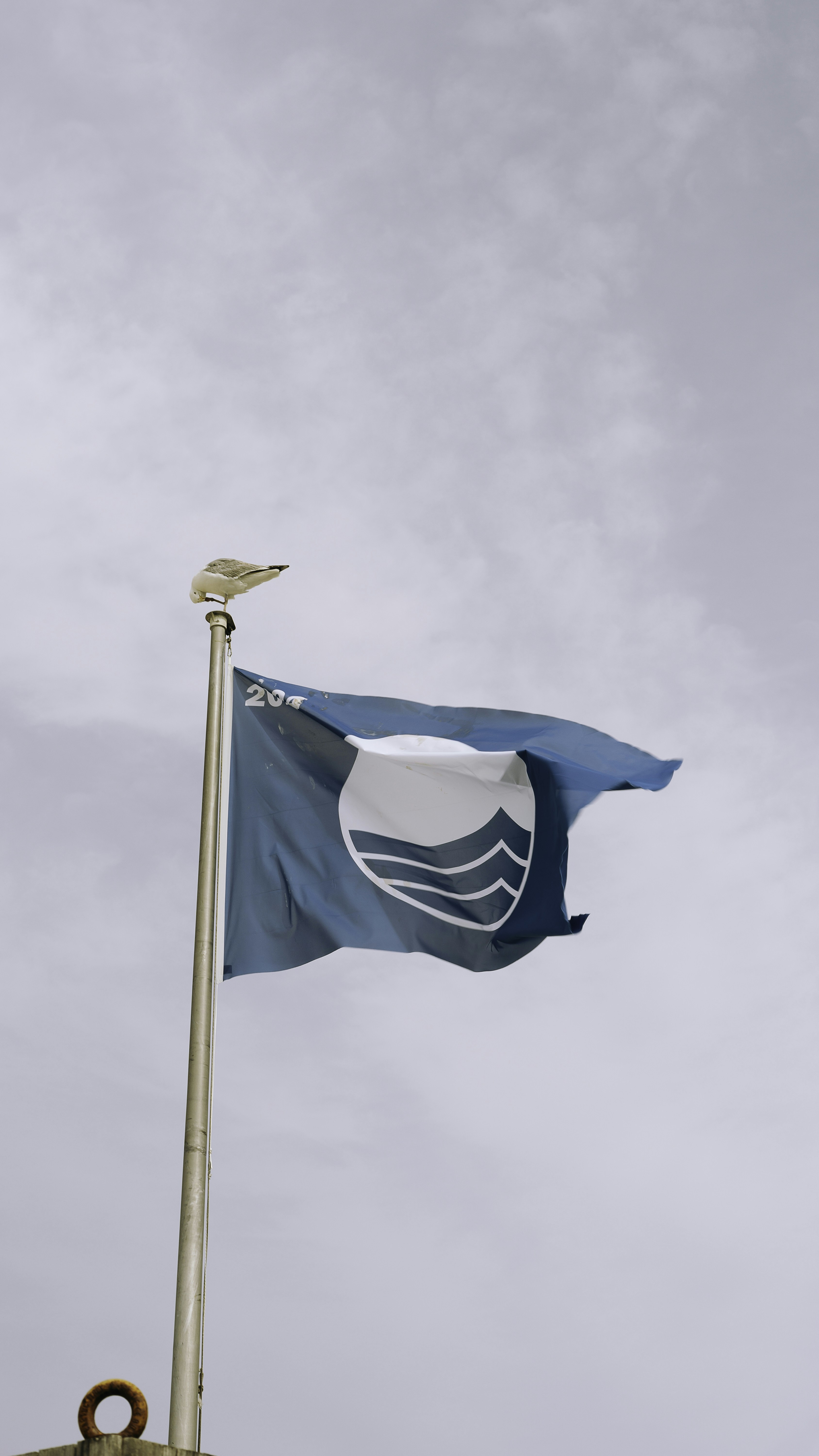 Windward Waves: A Blue Emblem Flag Flutters Against a Pale Sky