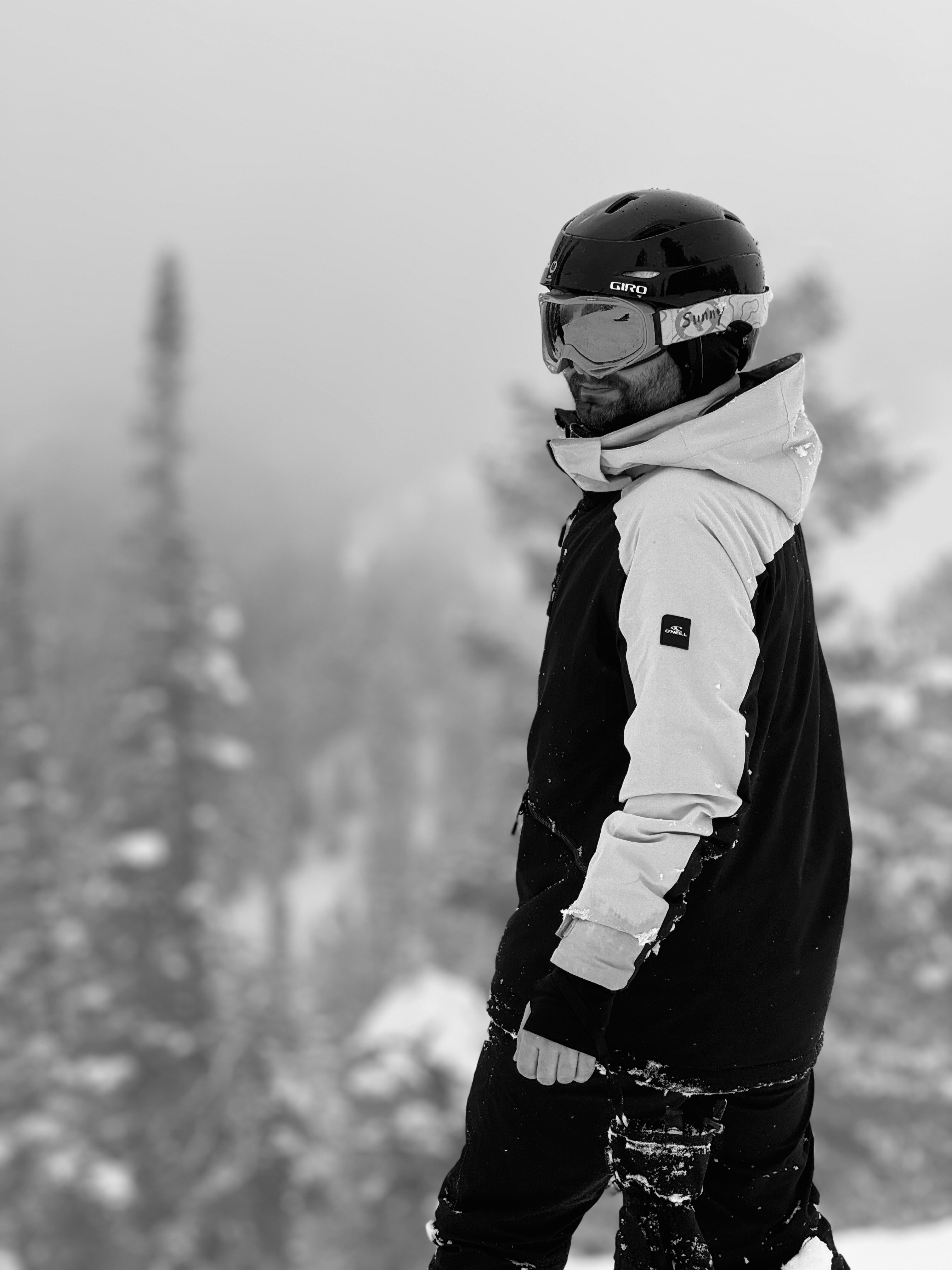 Silent Descent on a Winter's Day