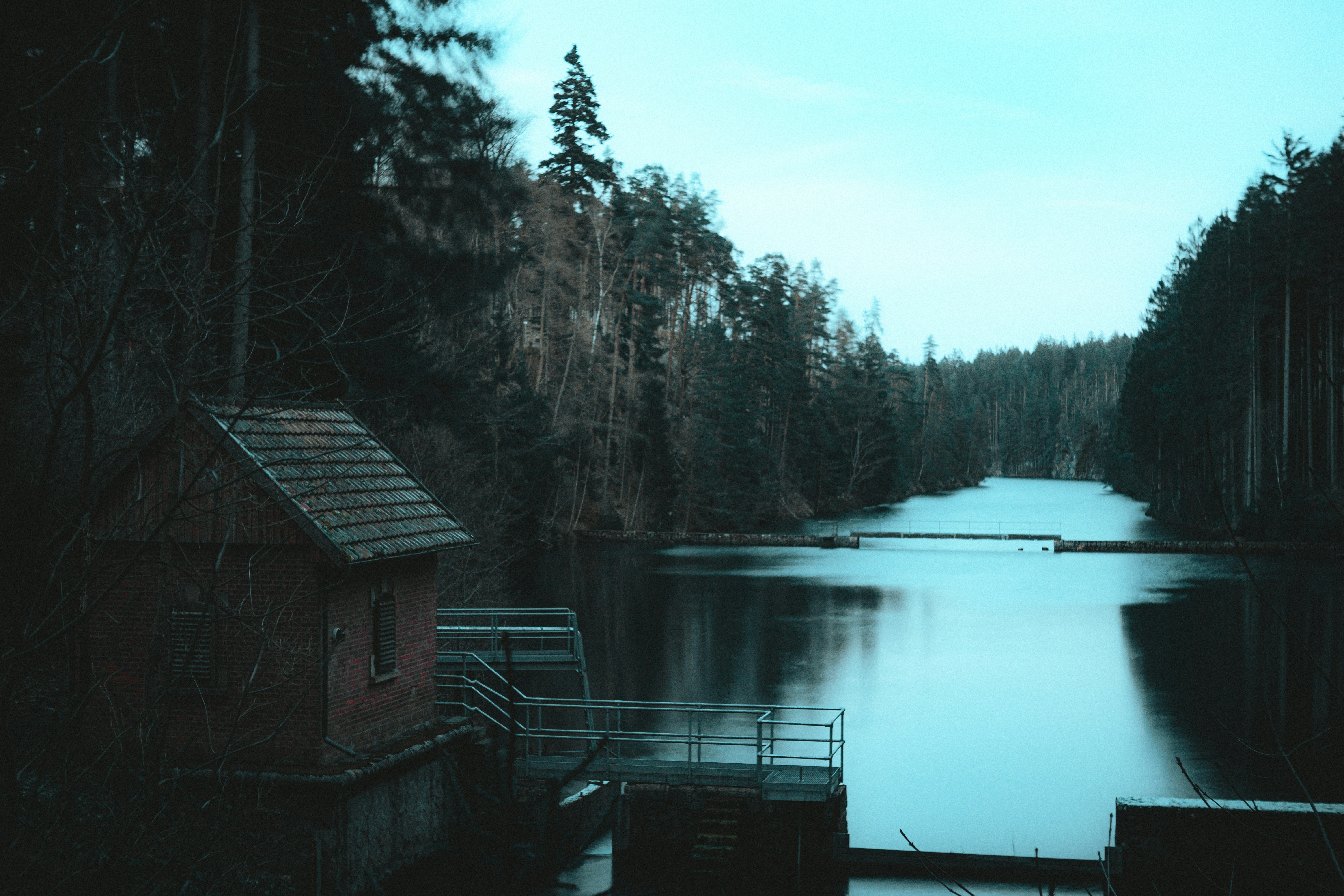 Photo by Paul Lichtblau with Sony Alpha 7 II