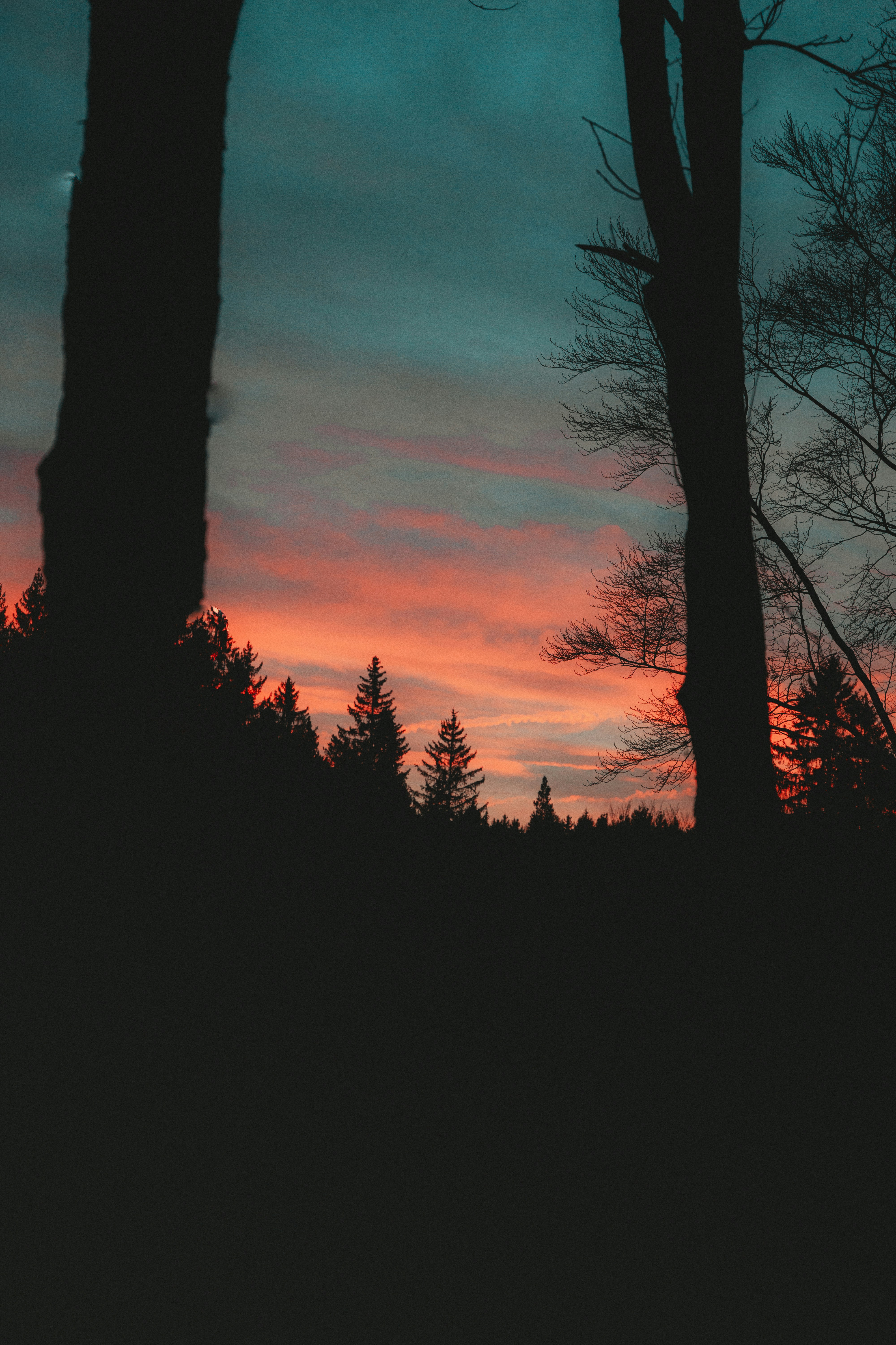 Silhouetted trees frame a vibrant sunset sky filled with hues of pink and blue. The scene captures the tranquil transition from day to night.