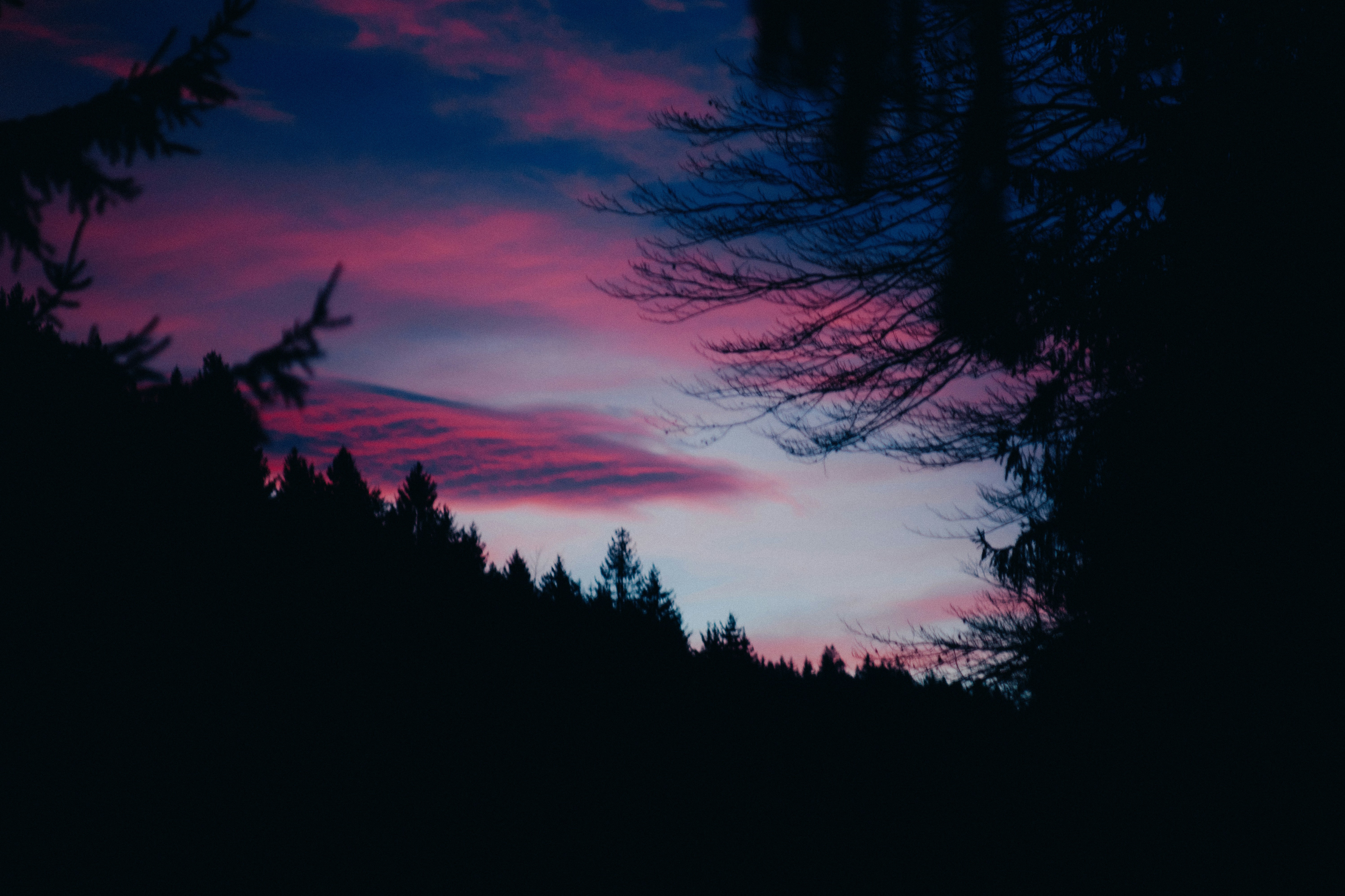 Photo by Paul Lichtblau with Sony Alpha 7 II