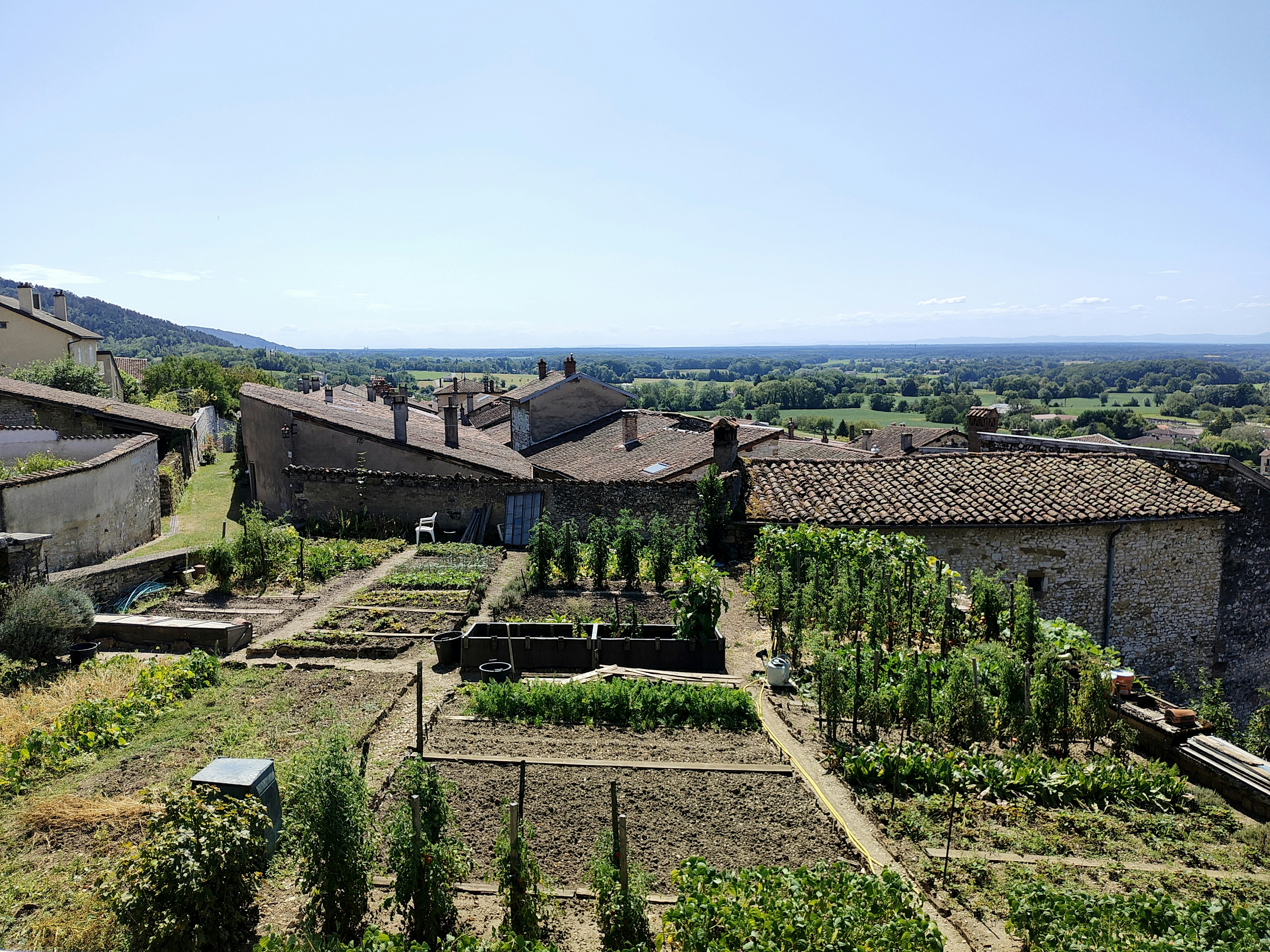 An aerial view of a vegetable garden in a village