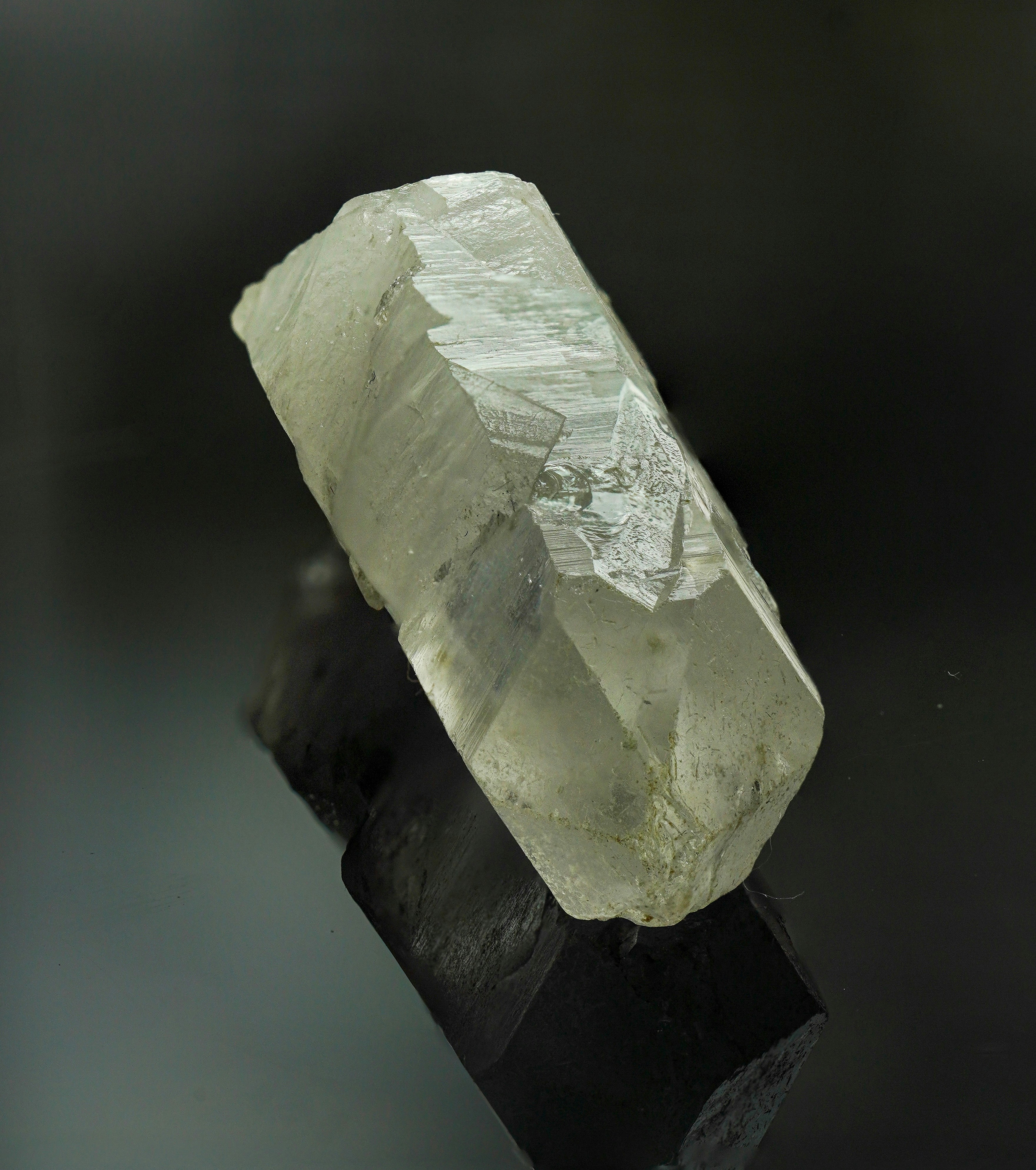 A rock with a white substance on top of it photo – Free Bird Image on ...