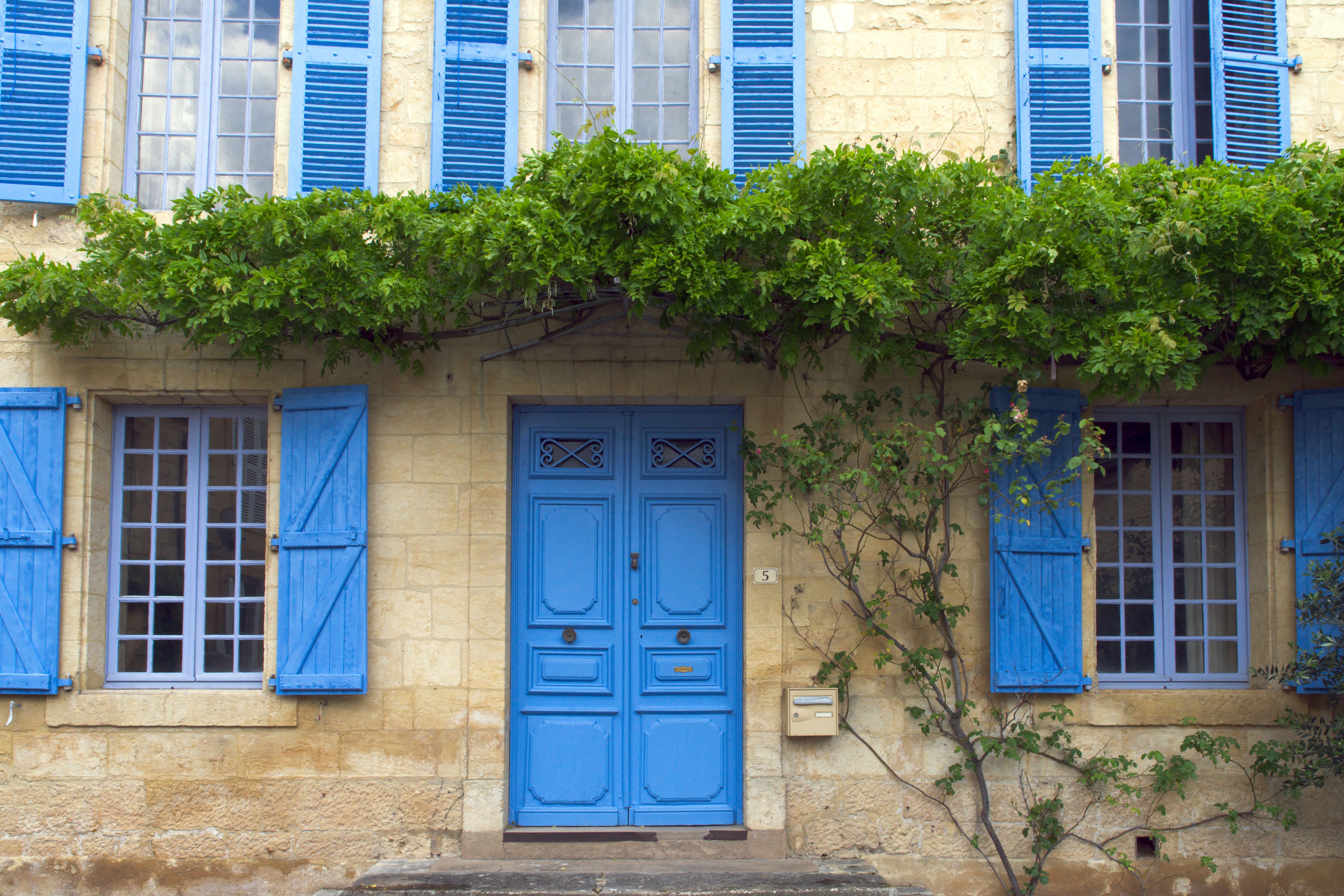 Vibrant blue shutters and door adorn a rustic stone house entwined with lush greenery.