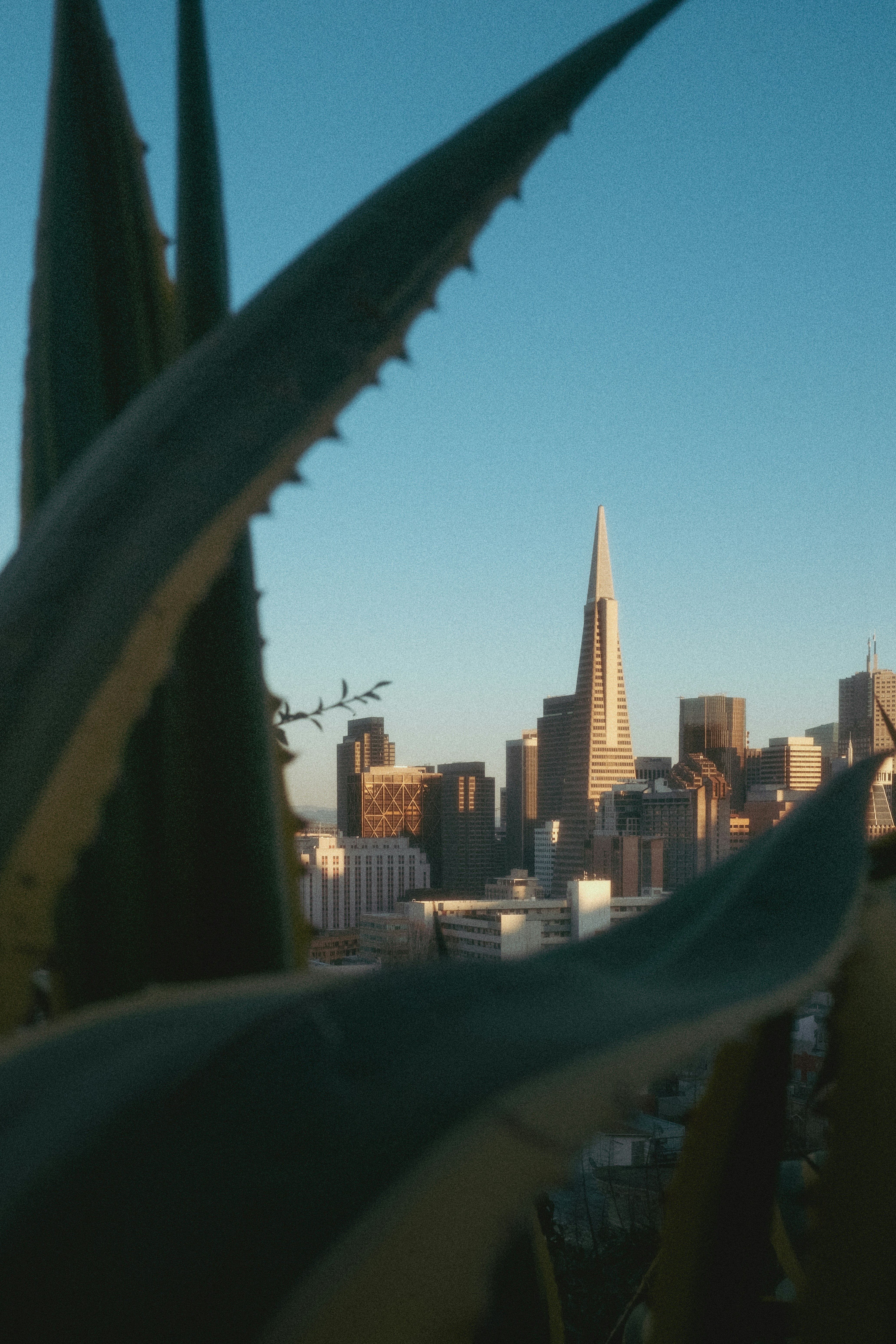 A view of a city with tall buildings photo – Free San francisco Image ...