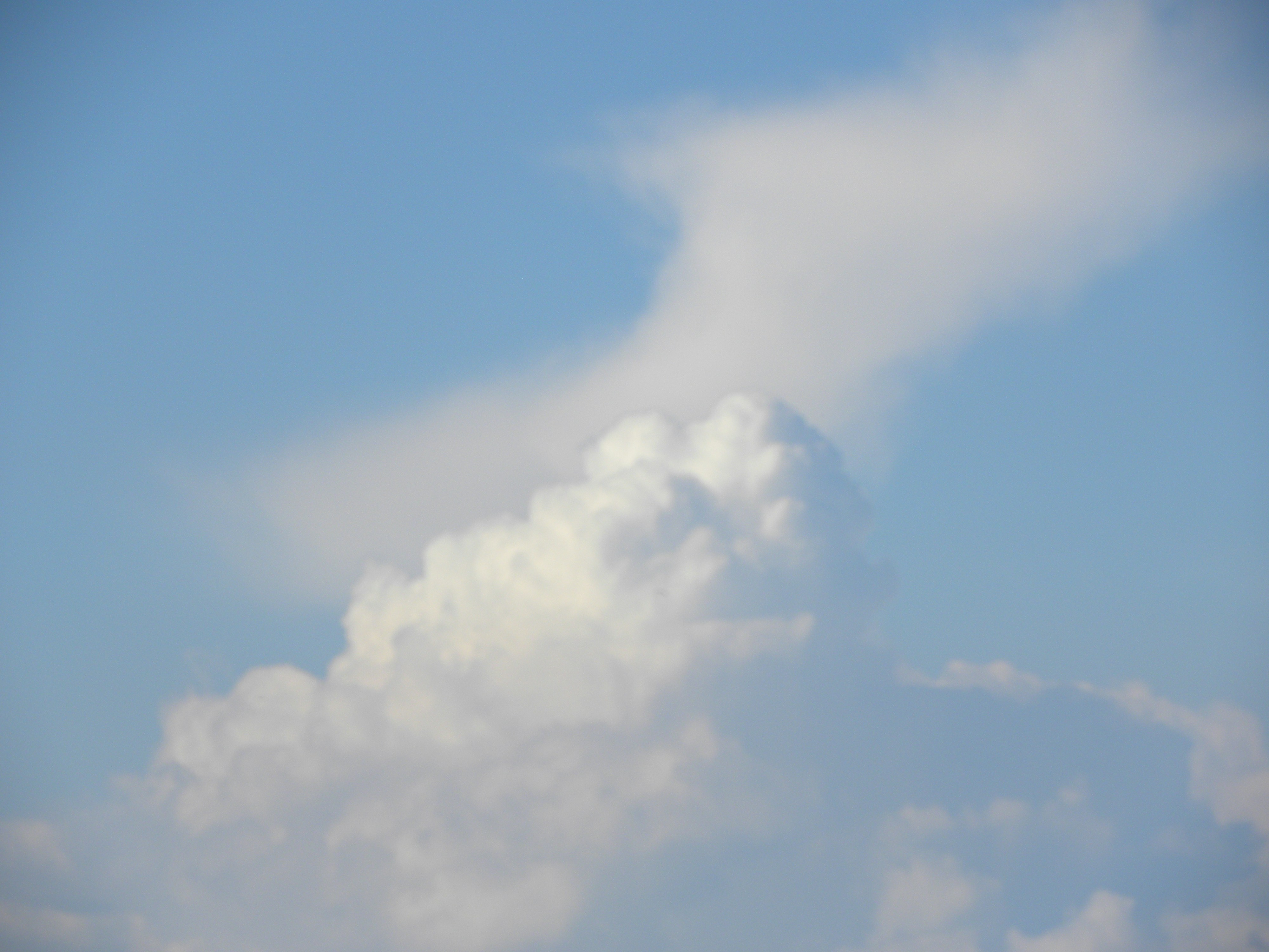 Sample photo from Nikon COOLPIX P90