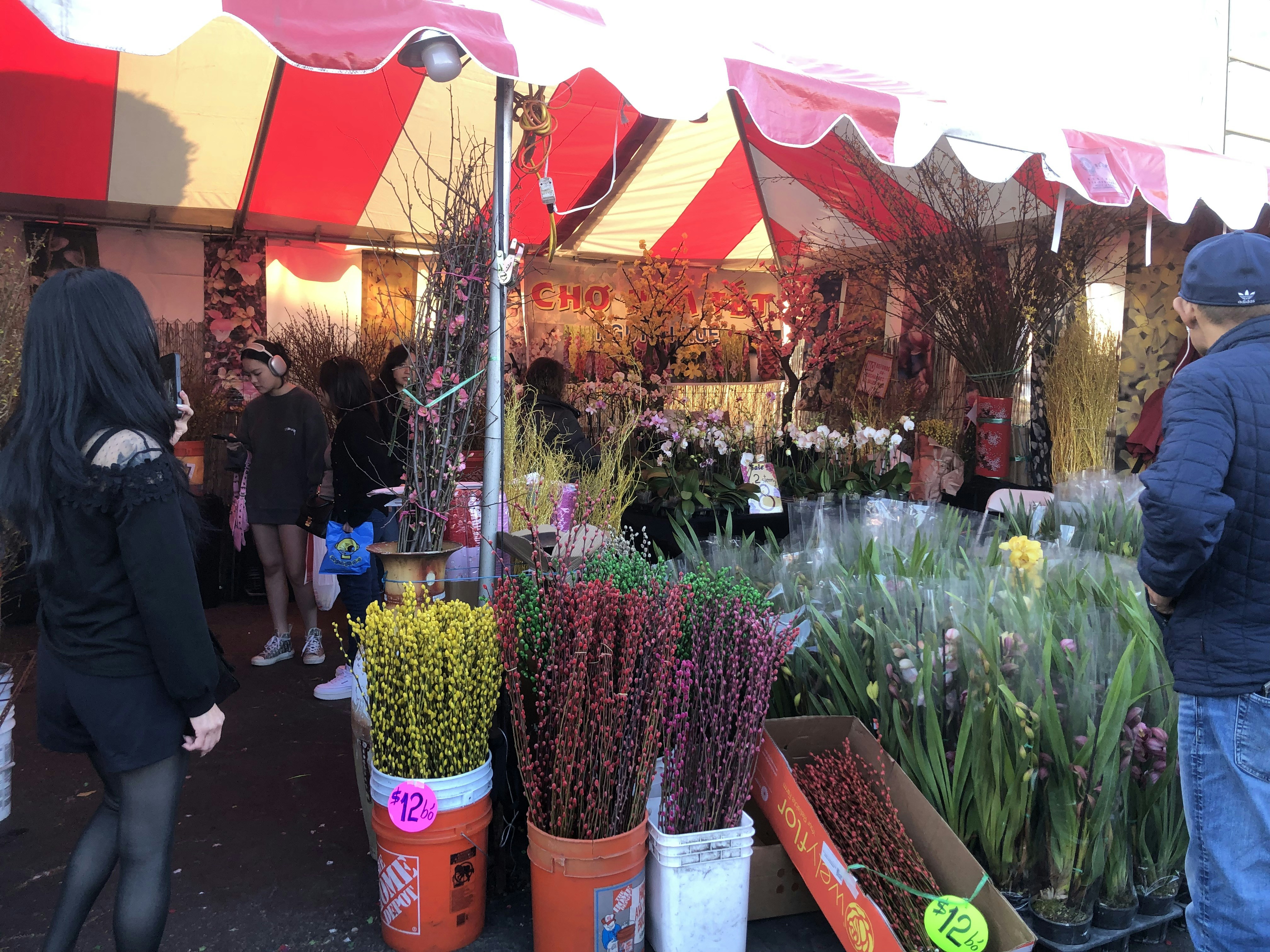 Outdoor flower market with vibrant red and white striped canopy and various plants in orange buckets.