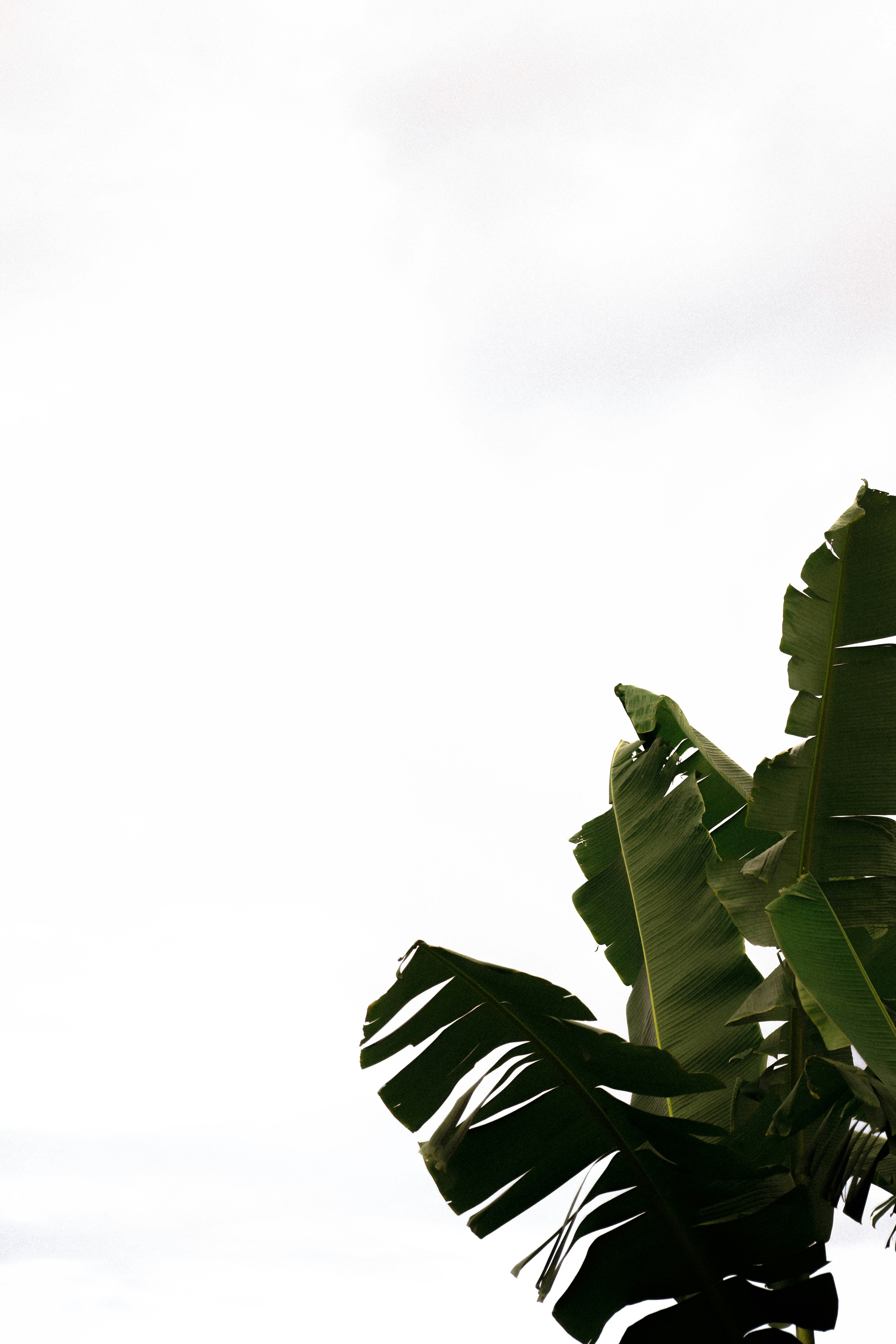 Photo by maskedemann with Nikon D5300