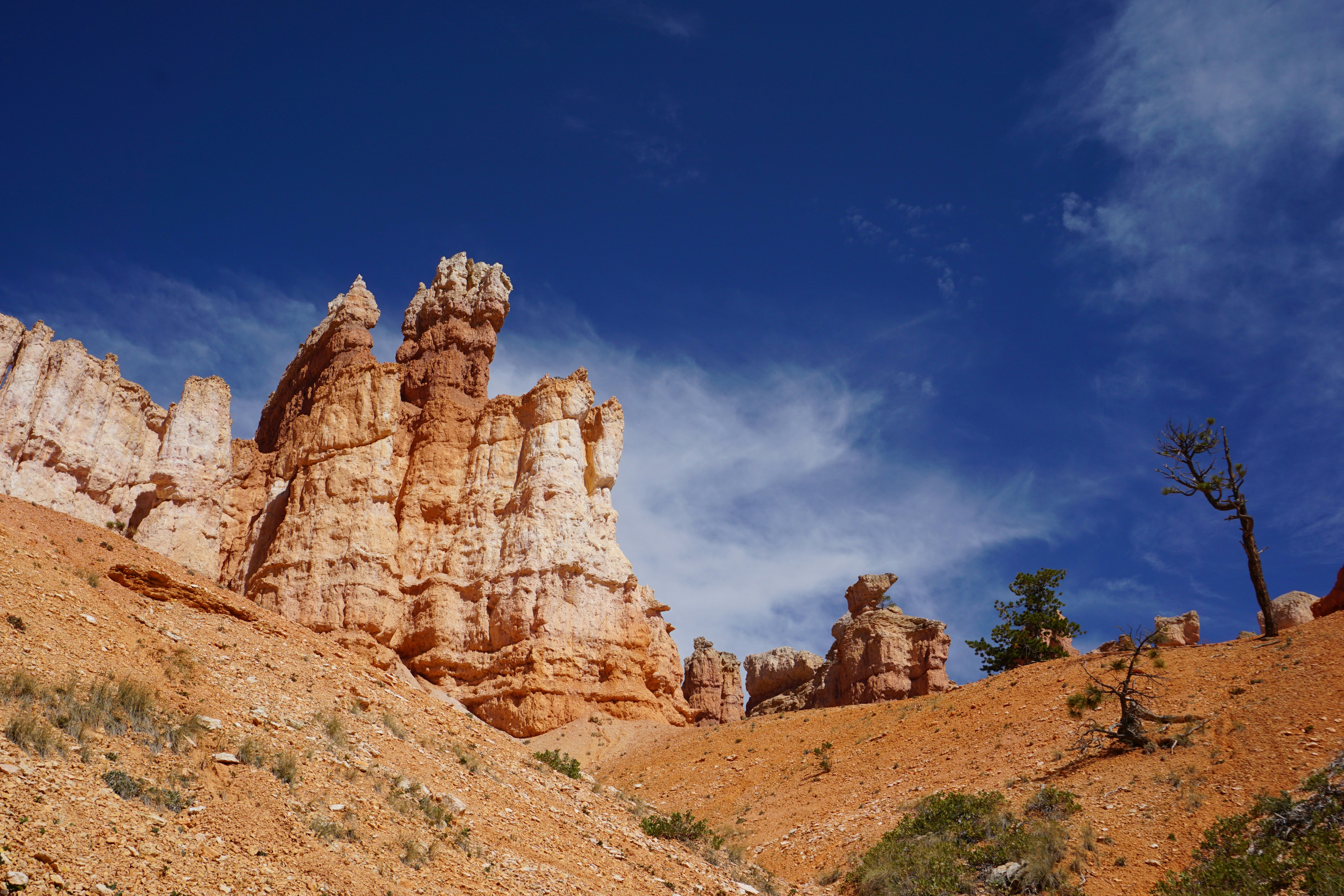 Un paysage rocailleux avec quelques arbres au premier plan photo ...