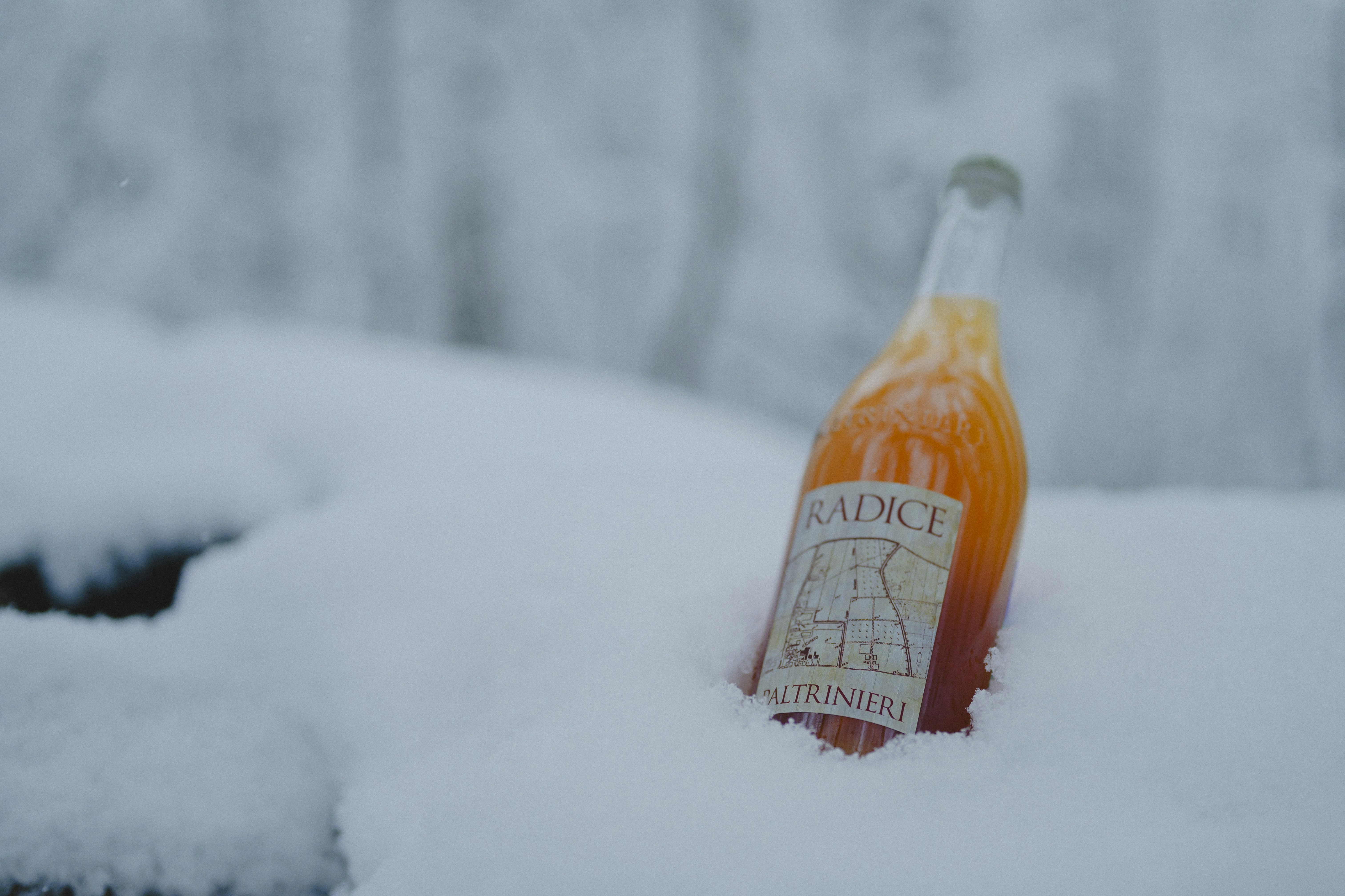 Snowbound Radiance: Radice bottle emerging from a white hush