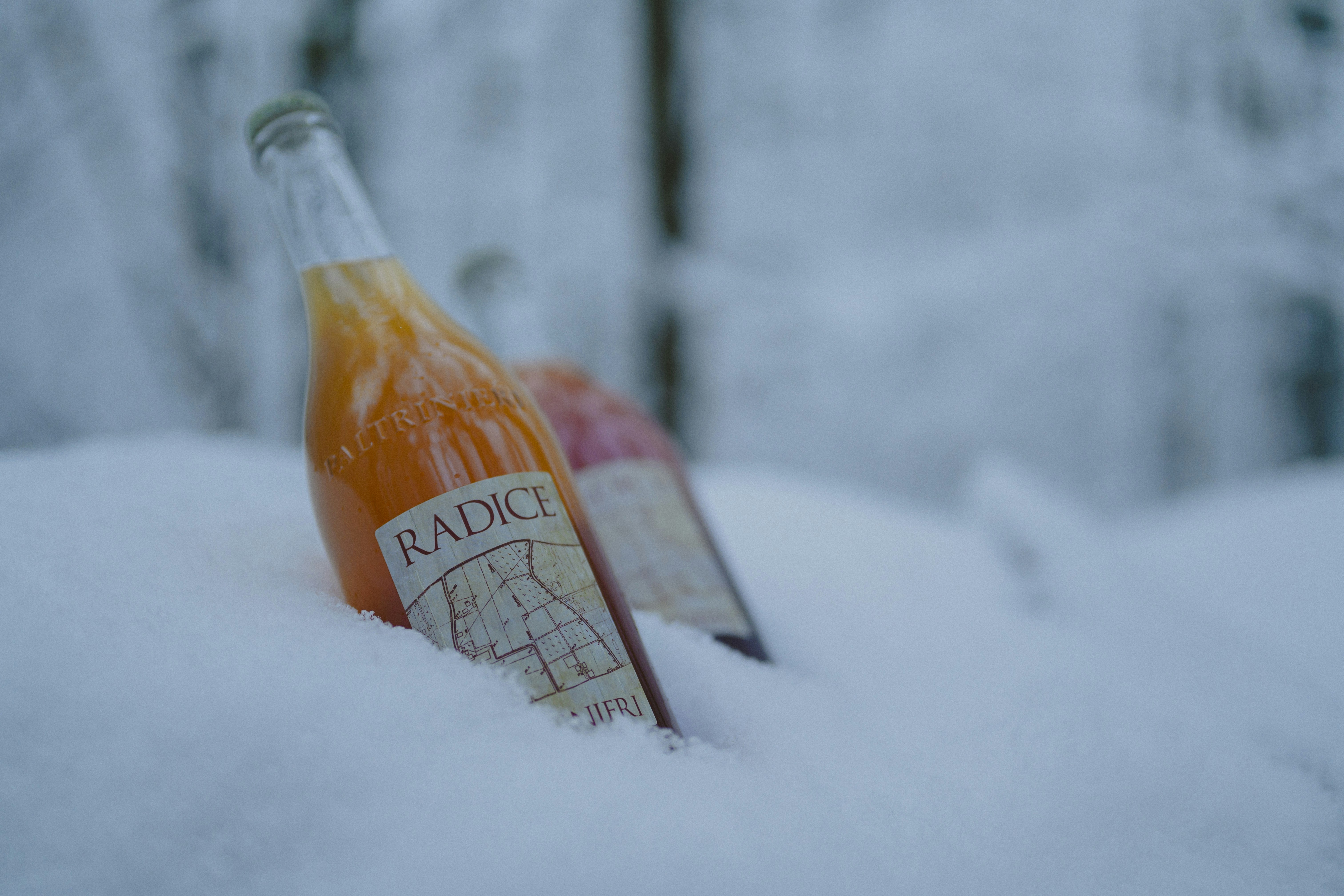 Radice in Winter Snowfield: A Bottle Emerges from the Quiet Drift