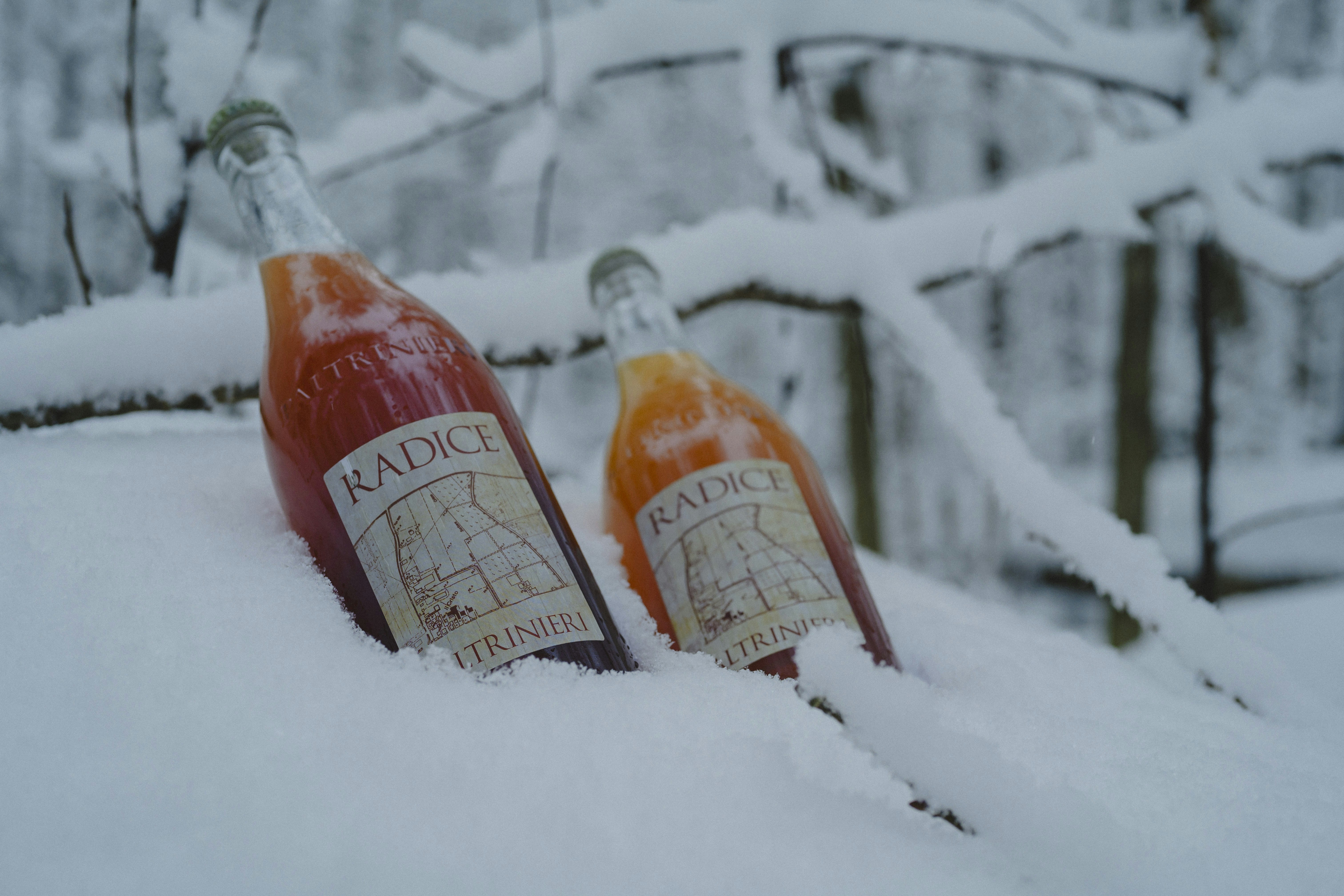 Winter Quiet: Two Radice Bottles Nestle in Fresh Snow