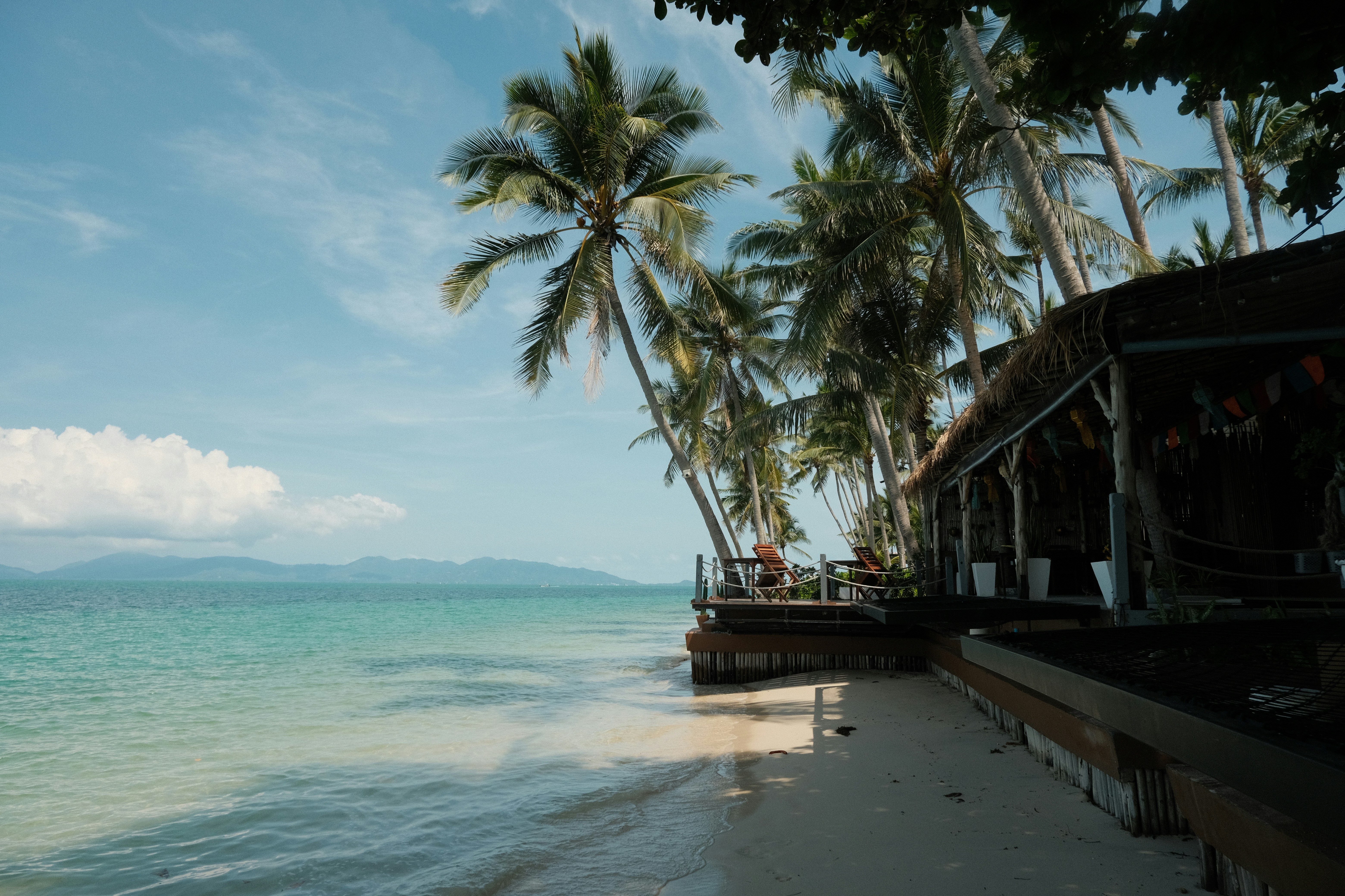 Palm trees line a sandy beach beside a rustic beachfront structure under a clear blue sky.