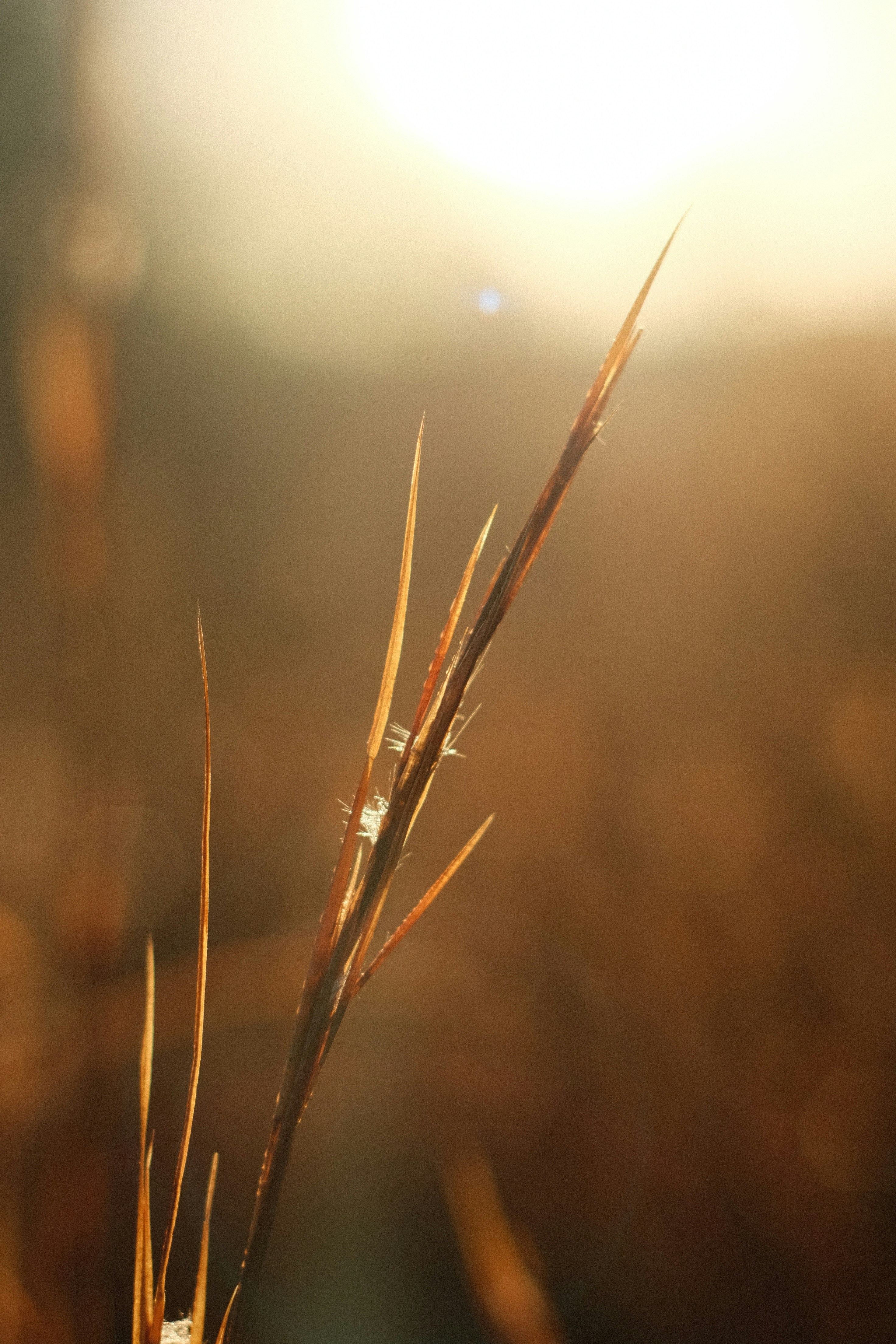 Beau Carpenter (@btcarpenter) | Unsplash Photo Community