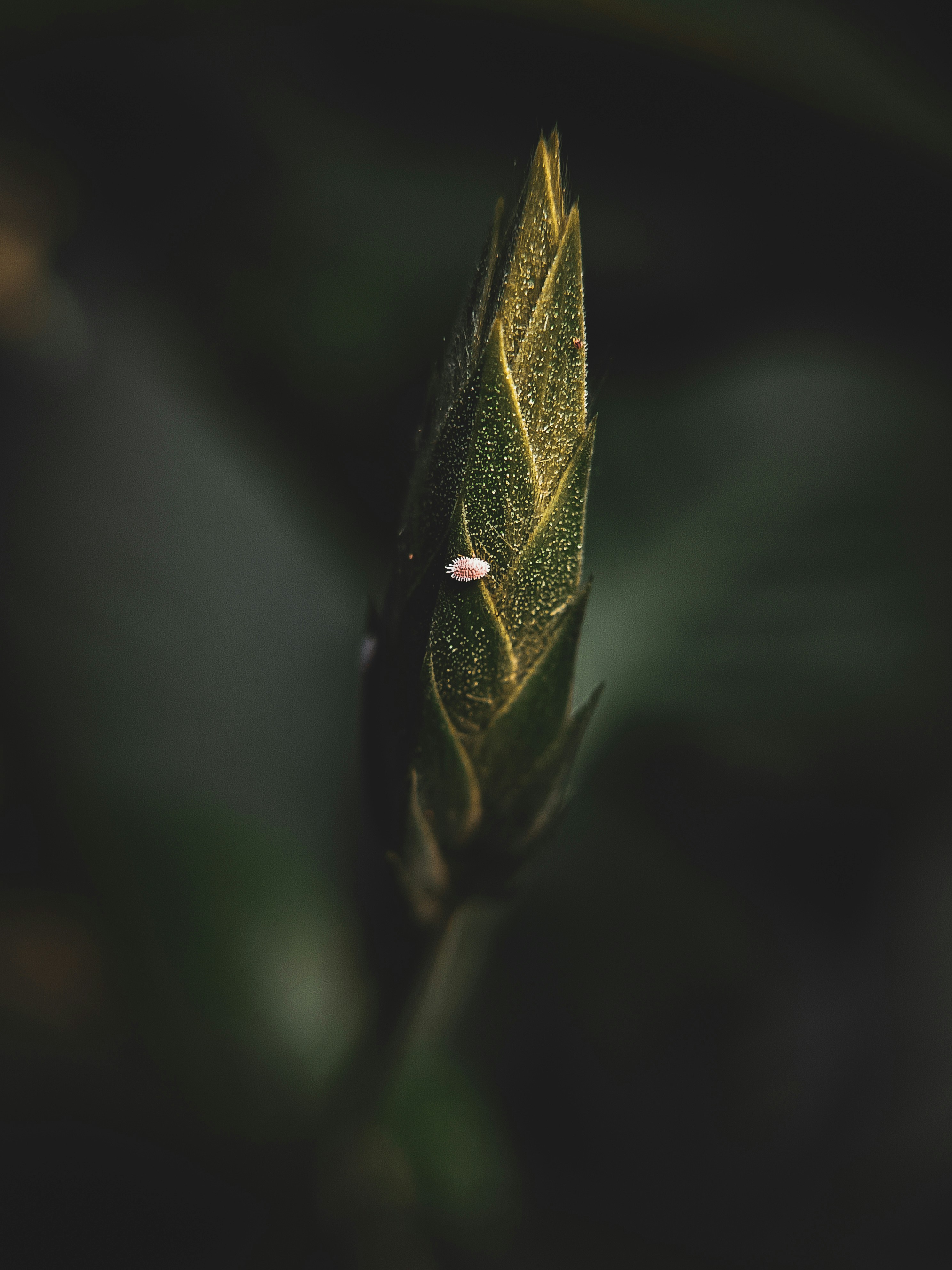 Sample photo from Infinix Note 30 5G