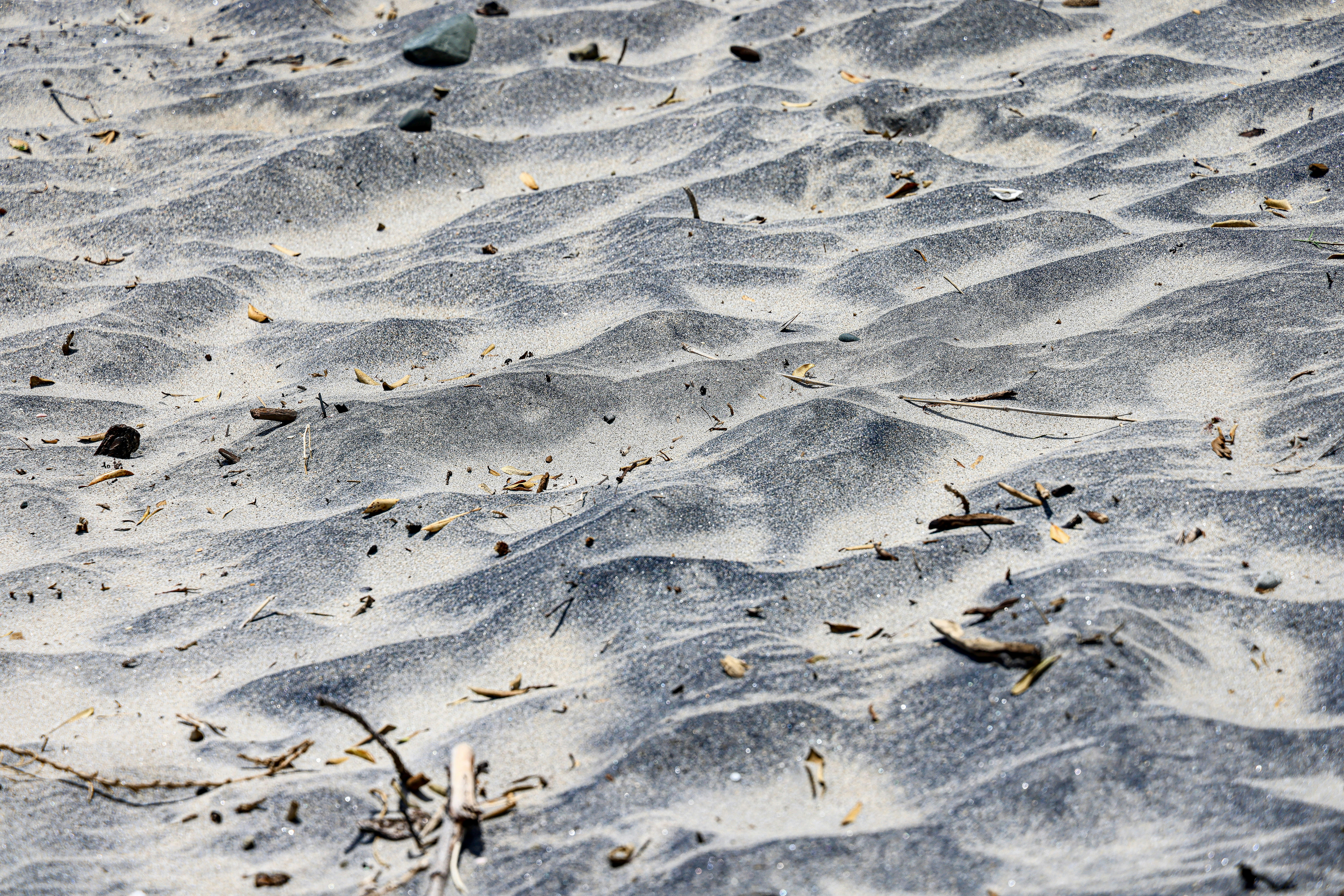 Rippling sand patterns with scattered twigs and pebbles on a sunlit beach.
