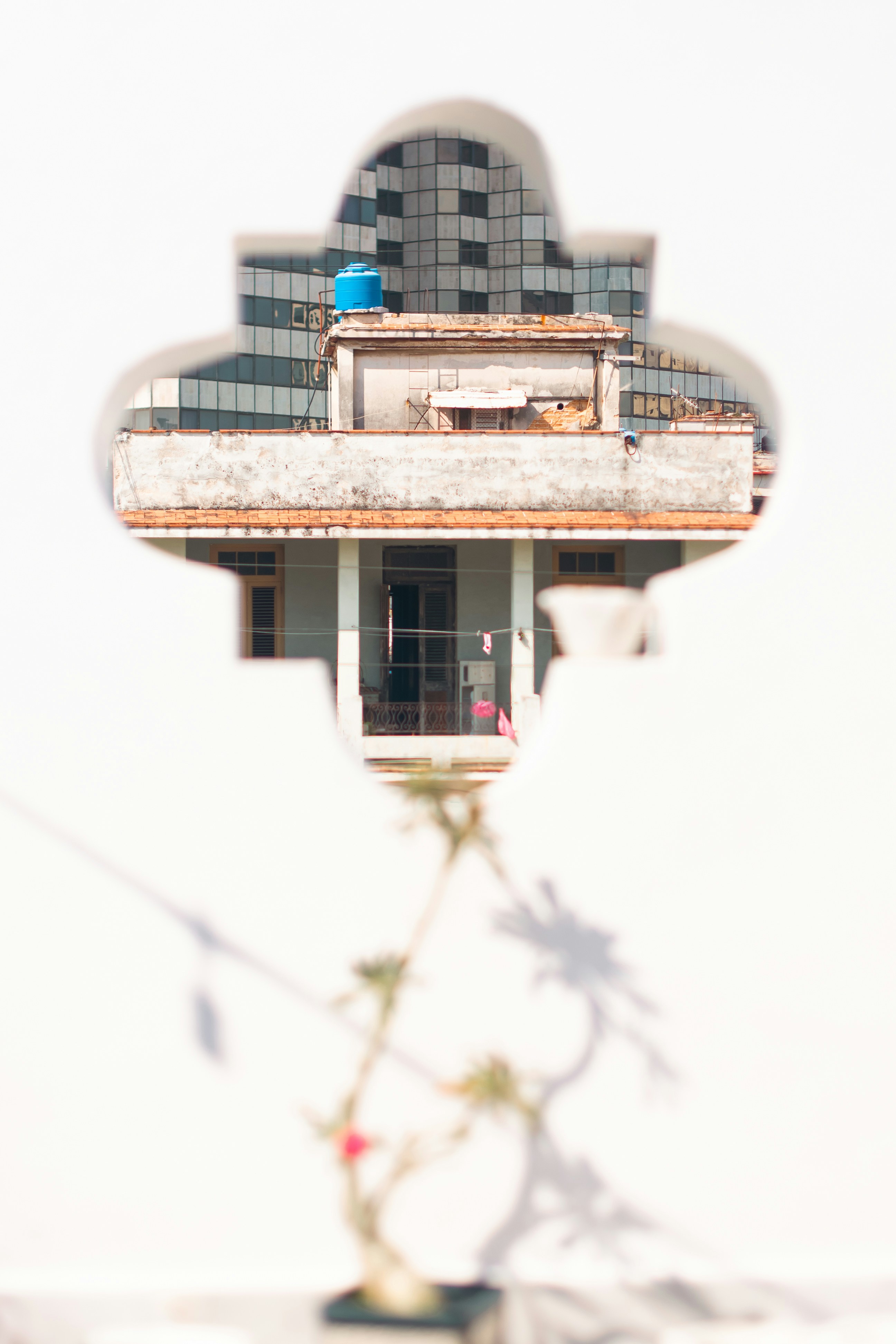 Photo by Monique Caraballo with Nikon D610