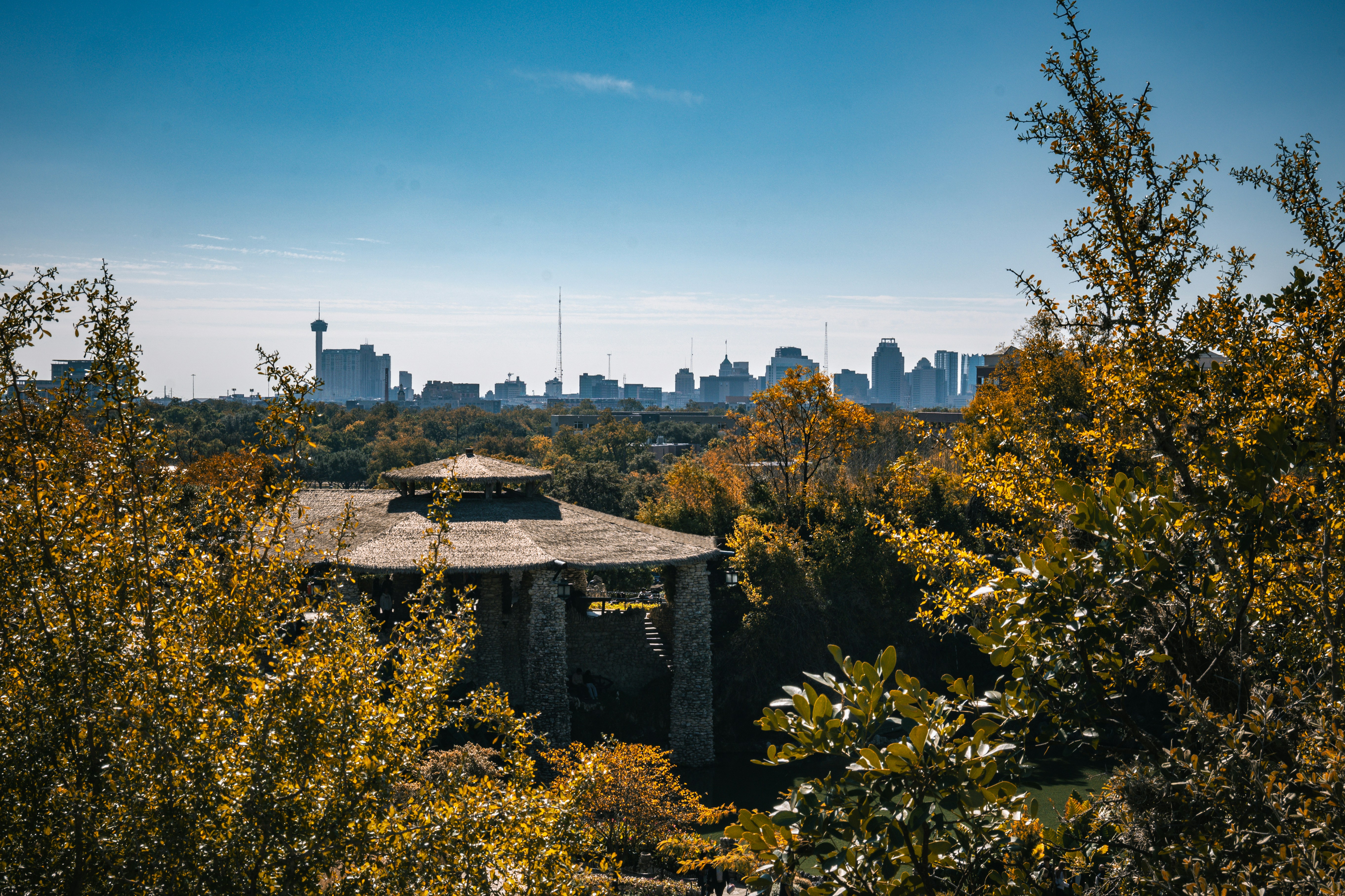 A panoramic view of a city skyline framed by vibrant autumn foliage, showcasing the harmony between urban and natural landscapes.