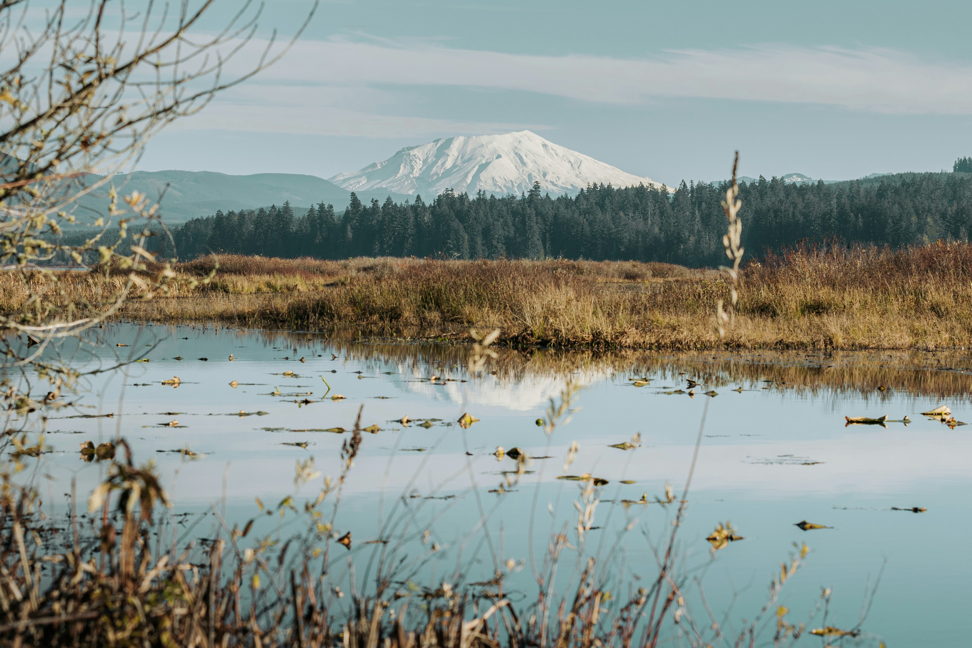 Snow-capped mountain mirrored in calm wetland waters, surrounded by golden grasses under a soft blue sky.