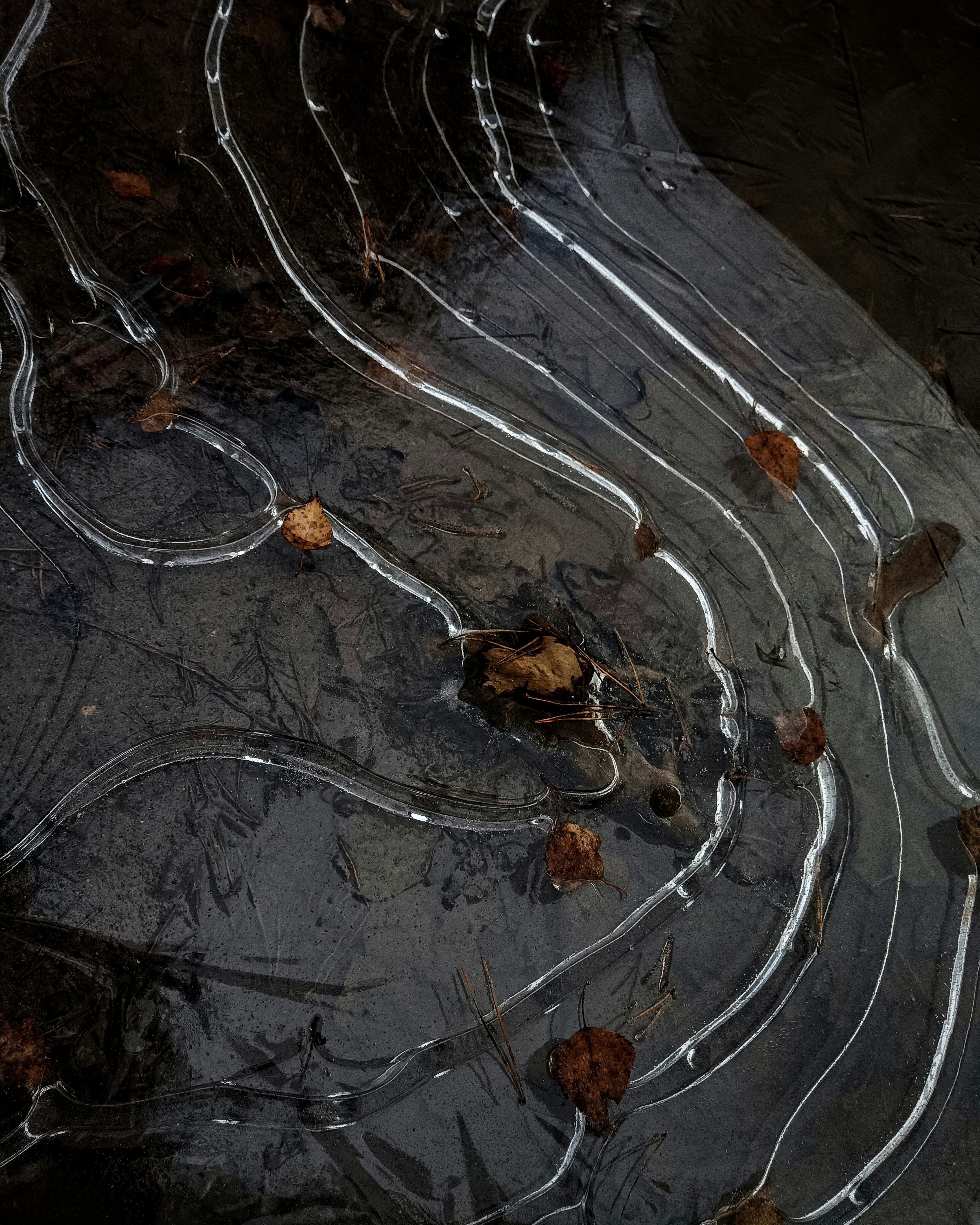 Sample photo from Xiaomi Poco M4 Pro