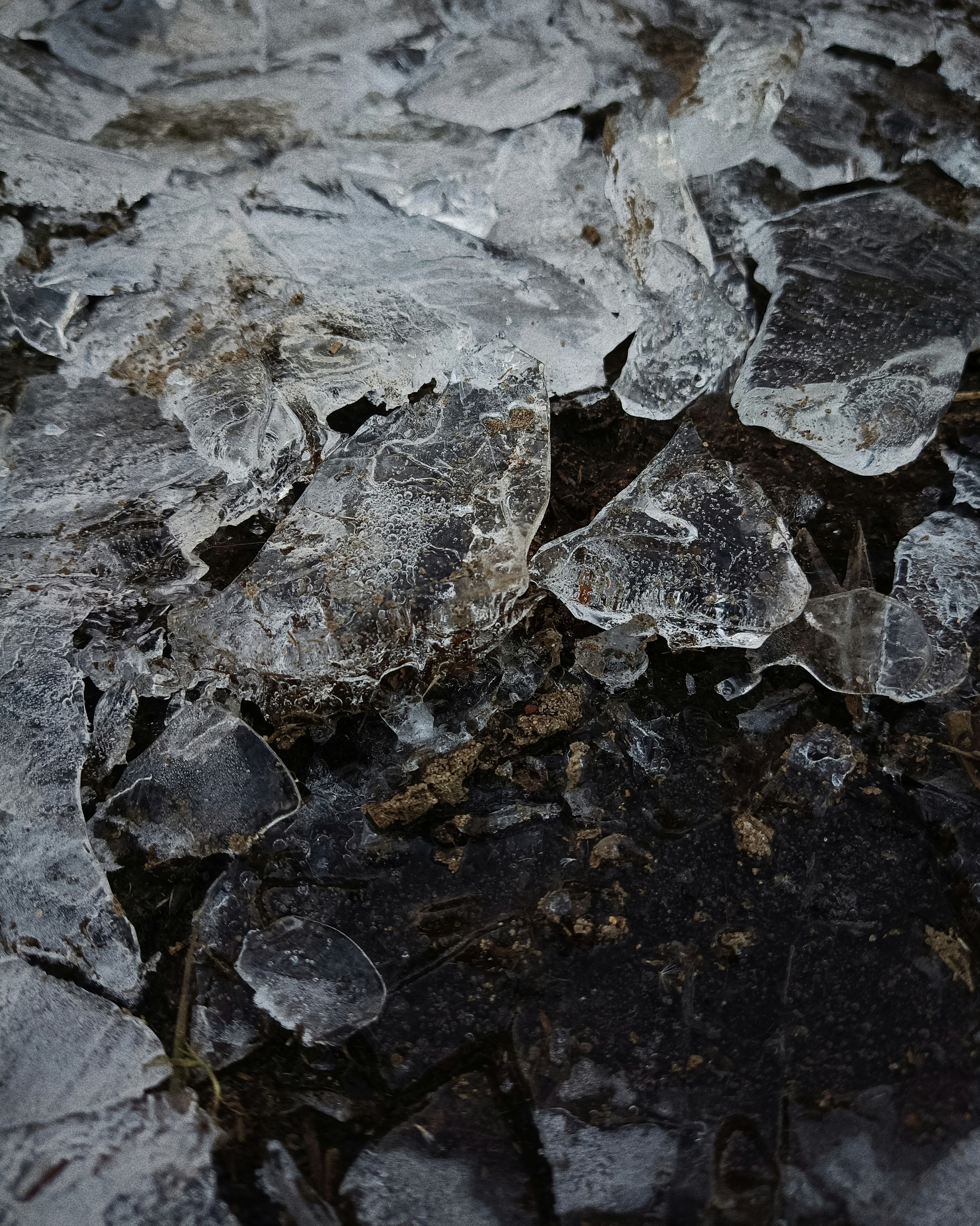 Close-up photograph of translucent ice shards scattered over dark, muddy ground, emphasizing texture and contrast.