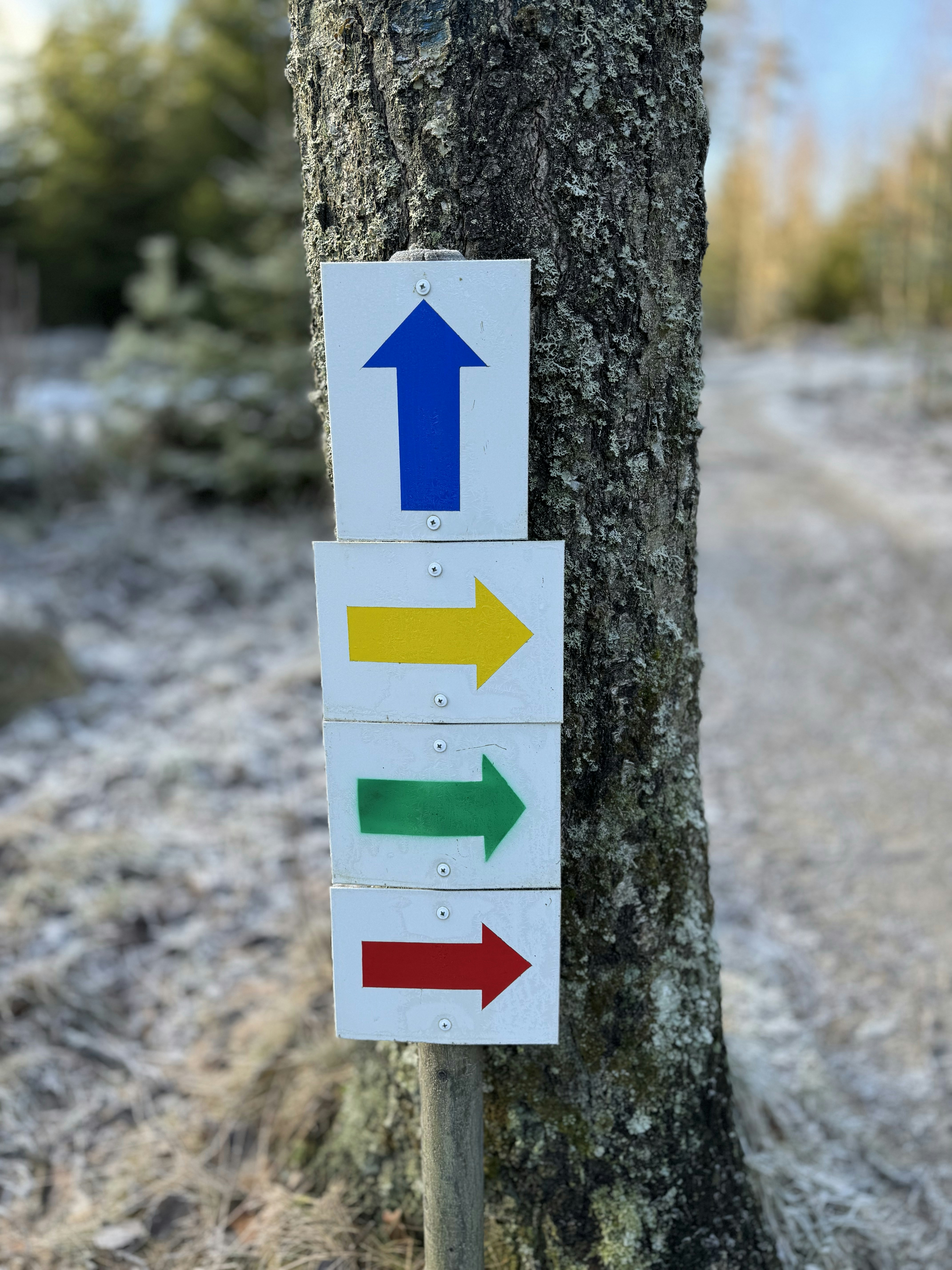 A sign on a tree points to different directions photo – Free Paper ...