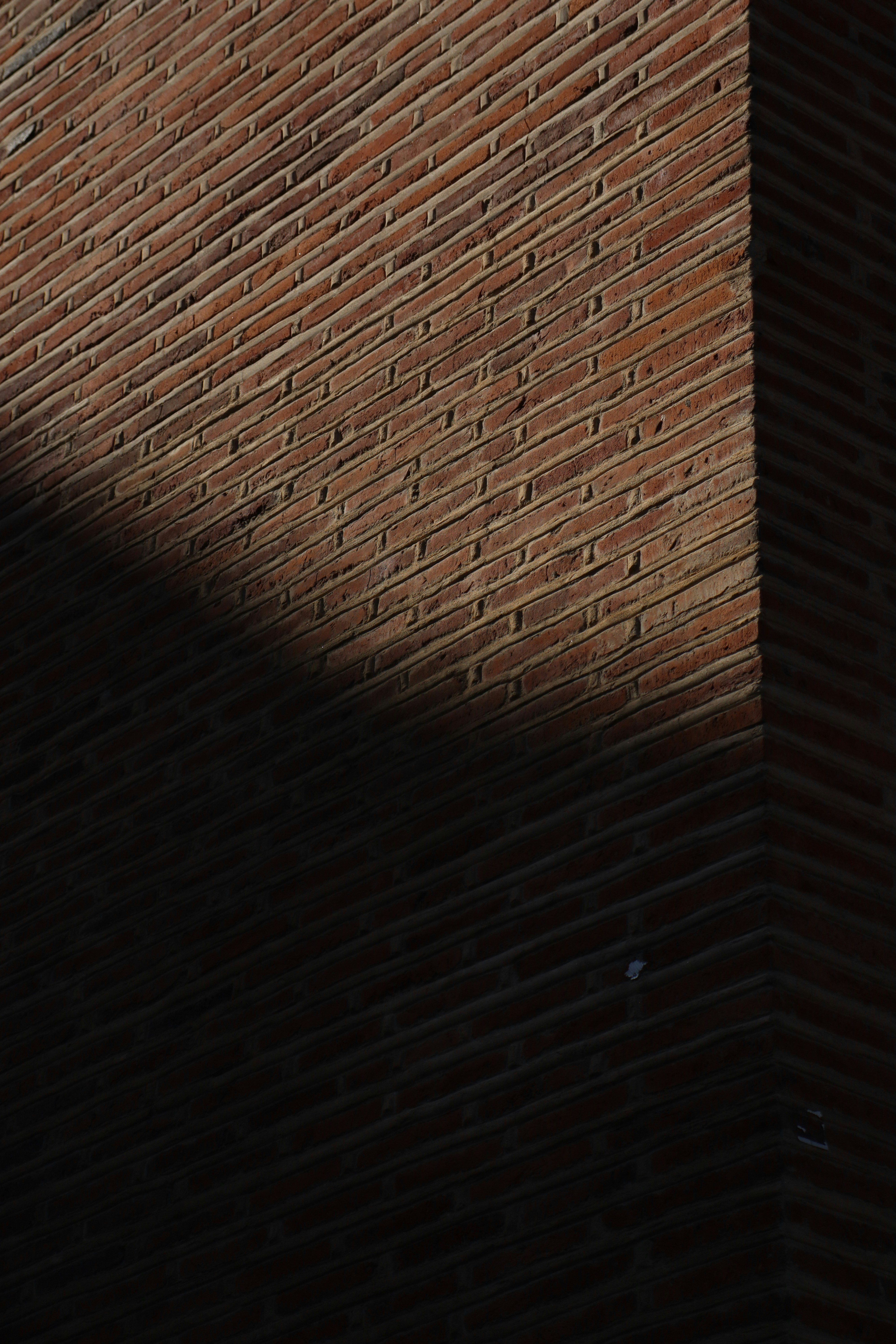 Photo by Alessio RAZZOLINI with Canon EOS 250D