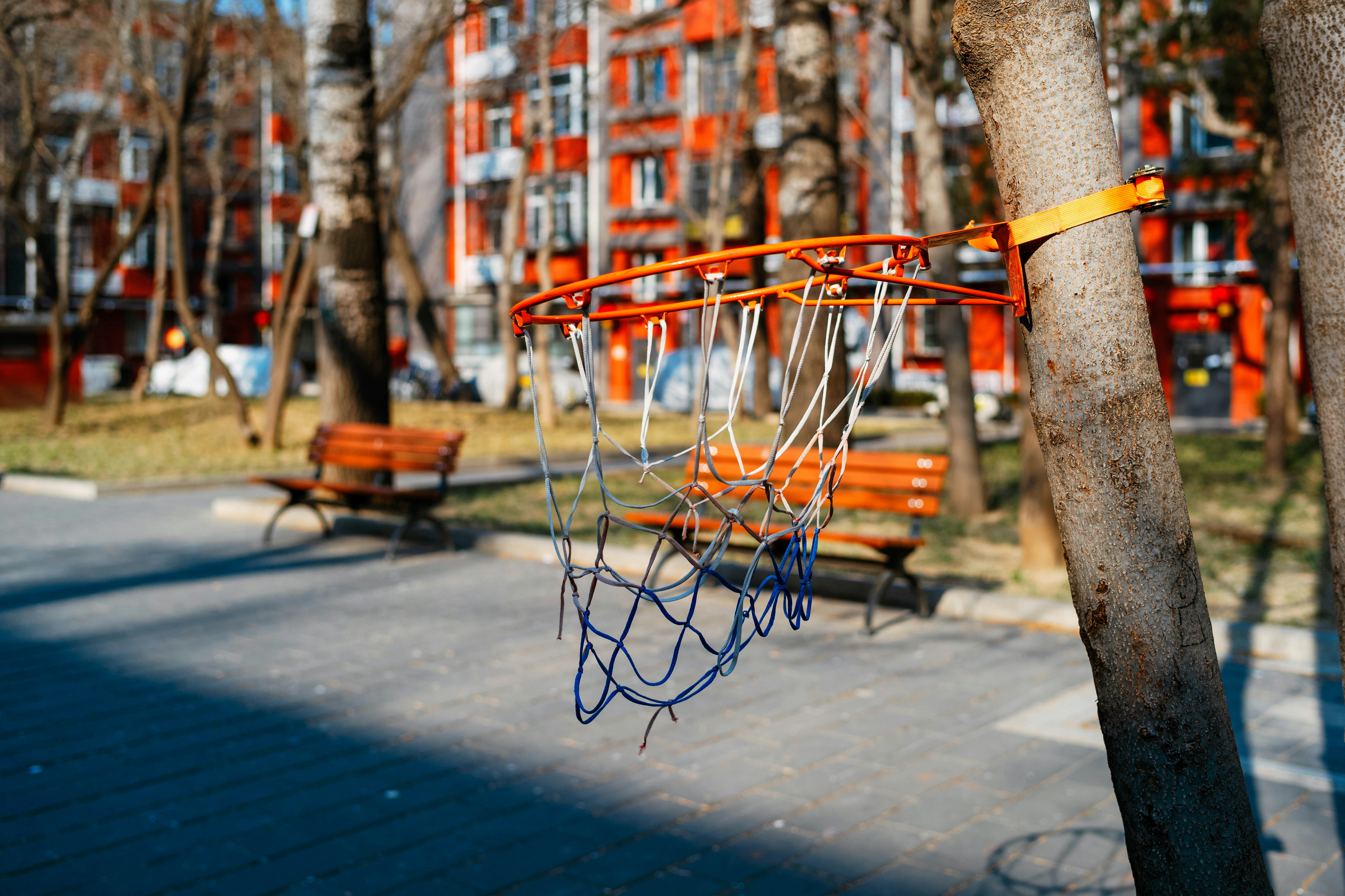 Photo by tommao wang with Leica M10-P