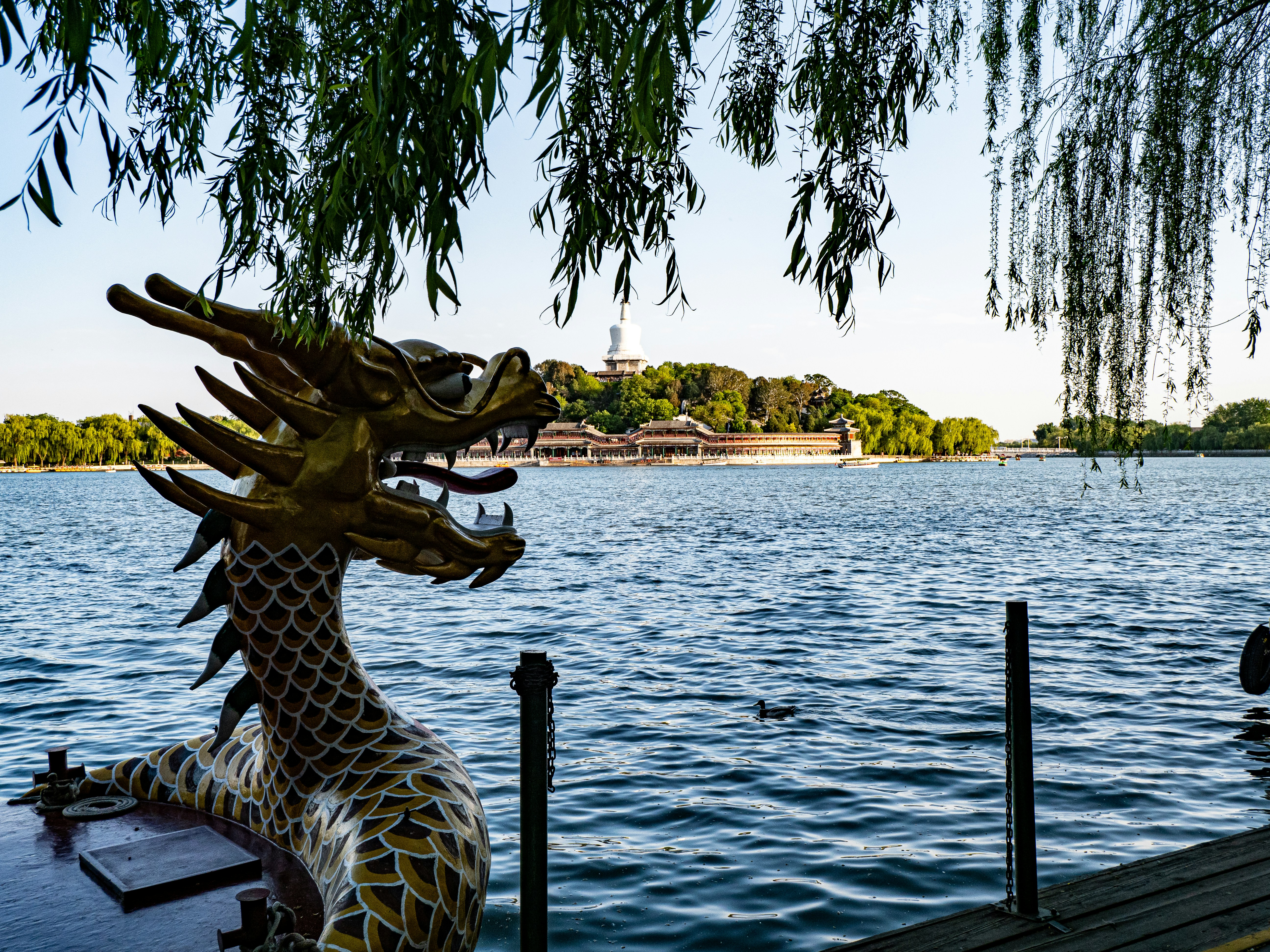 Golden Guardian Beside Serene Waters