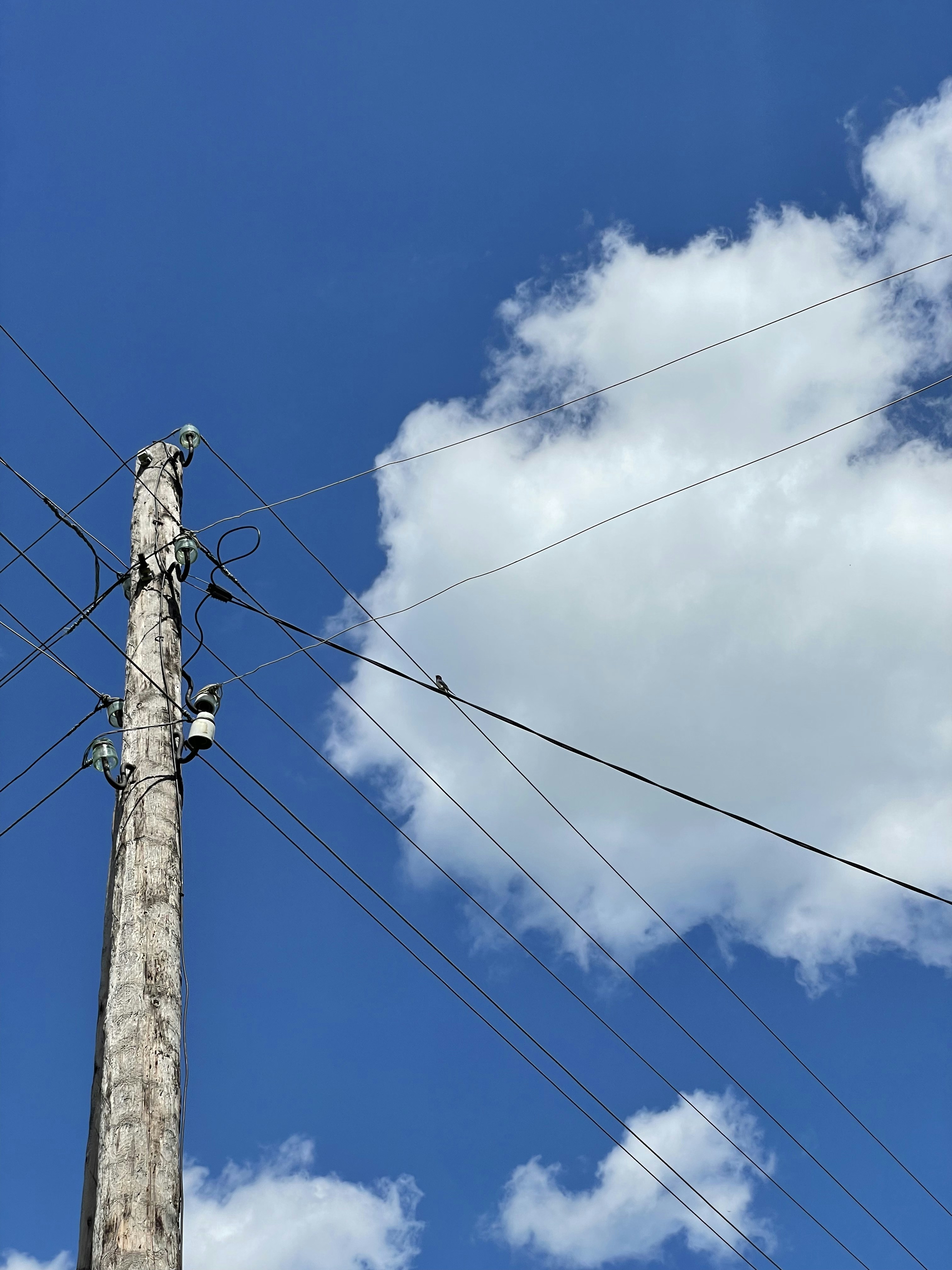 Photo by Daria Kim with Apple iPhone 12 Pro