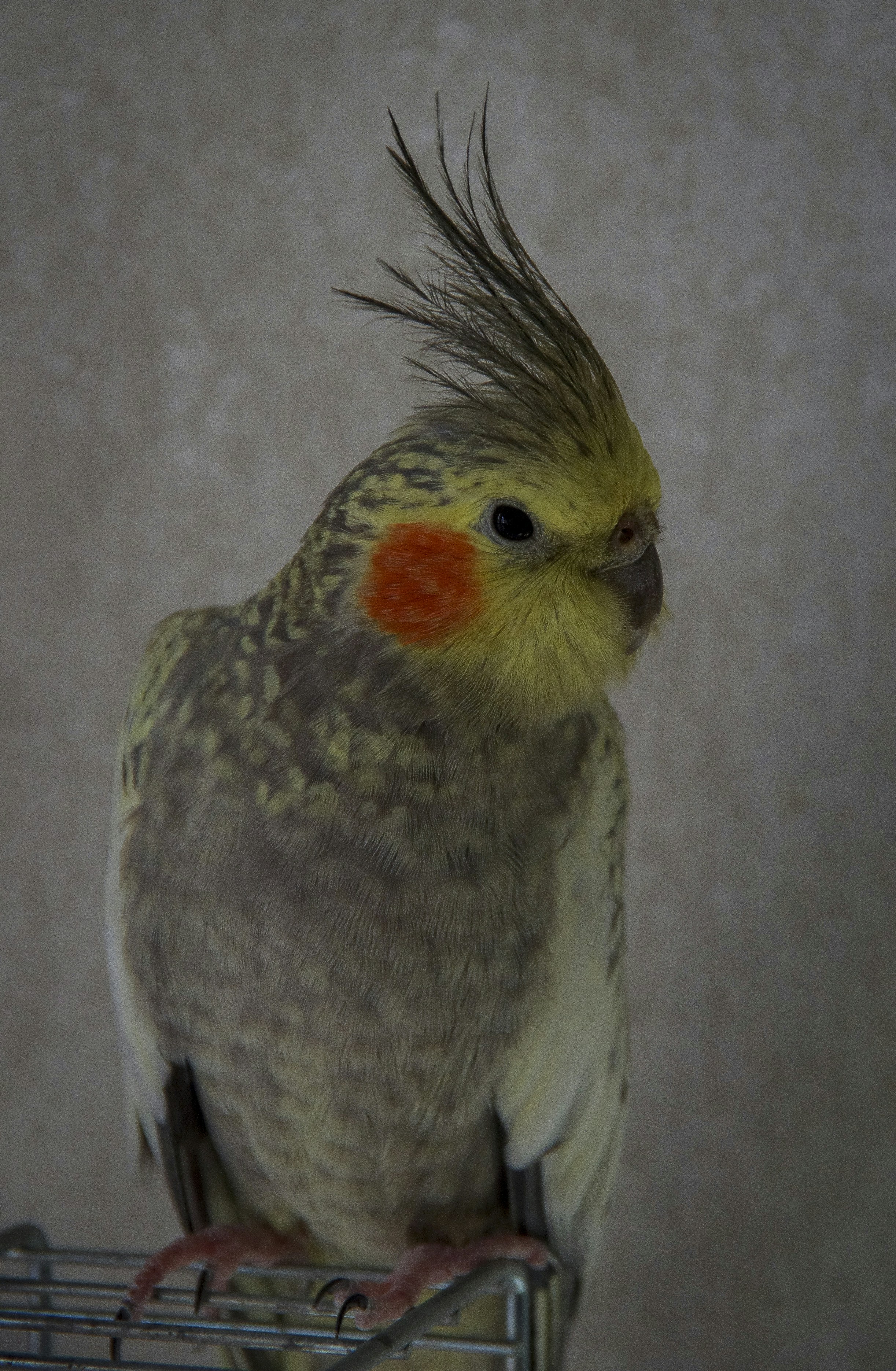 Photo by Mikhail with Pentax K-r