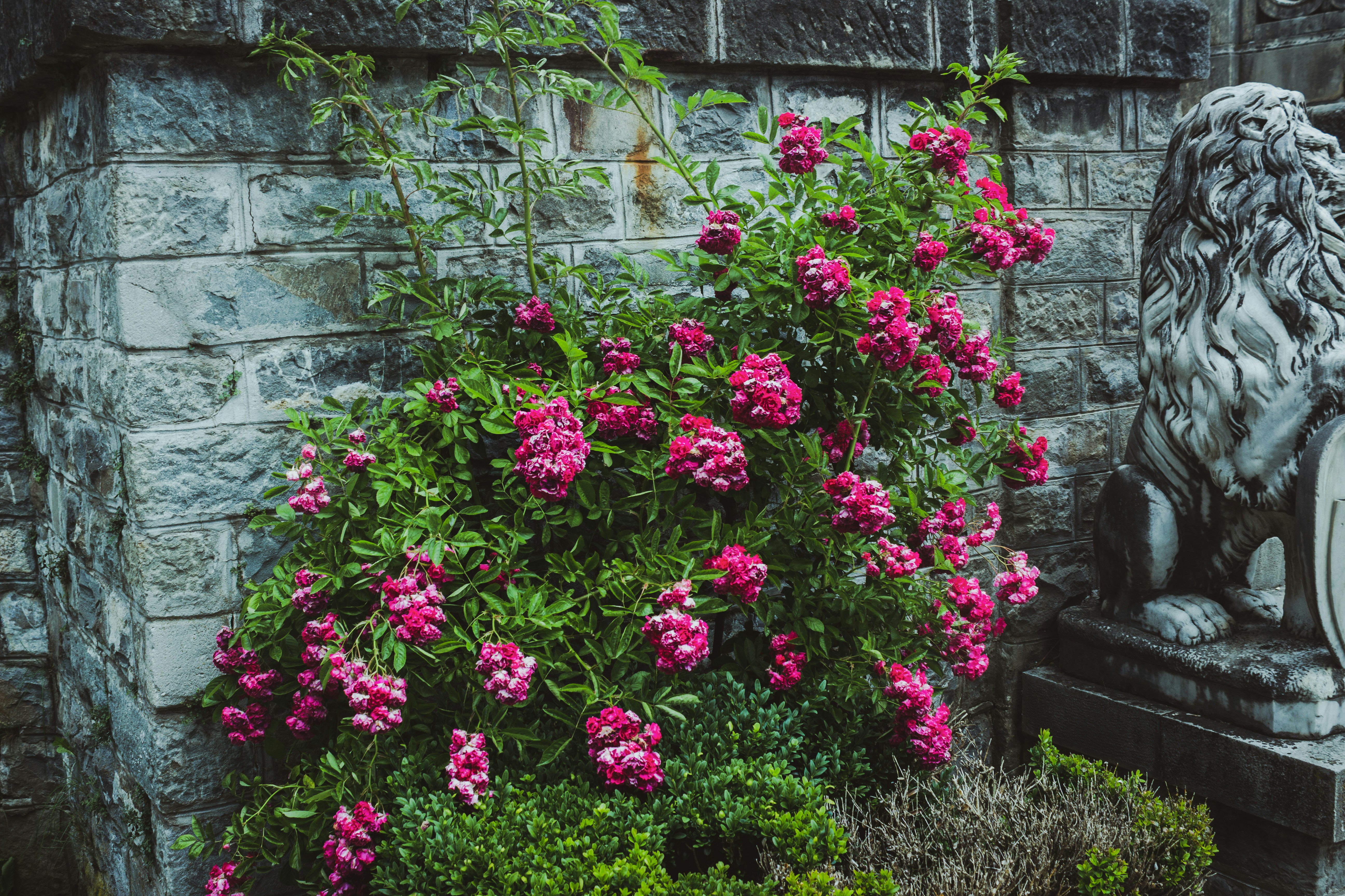 Photo by Reanimated Man X with Canon EOS 600D