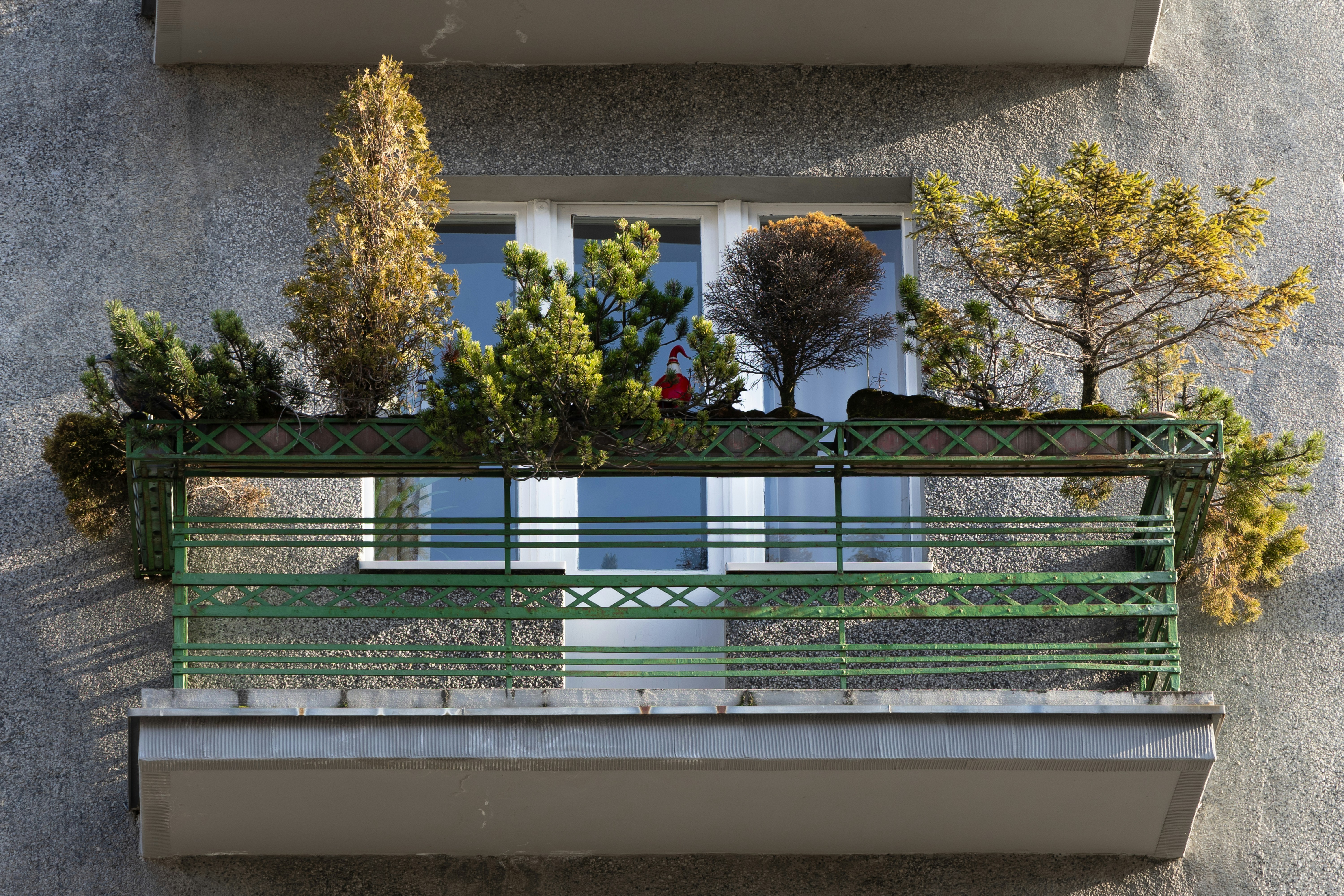 Urban Oasis: Balcony Botanicals