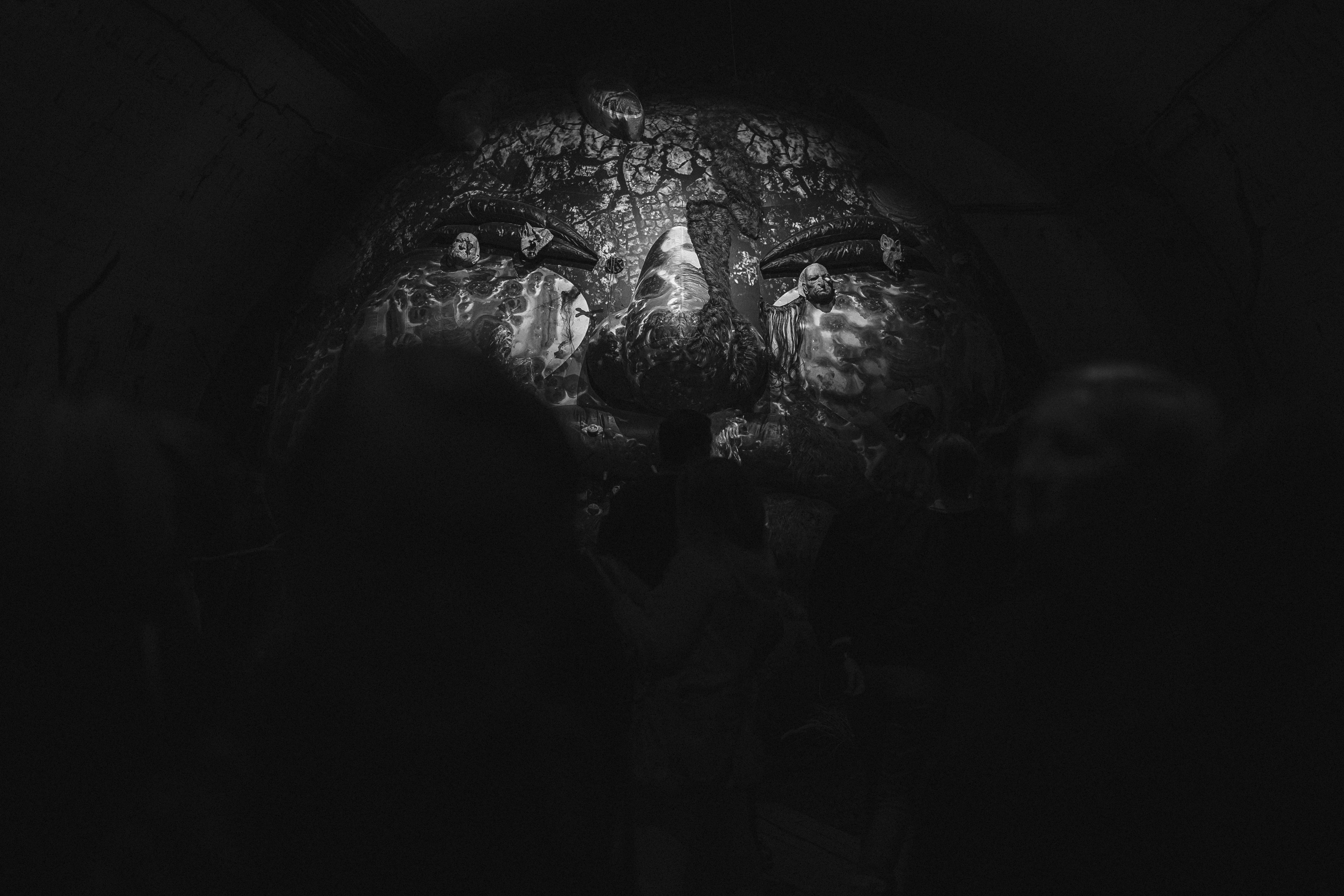 Whispering Shadows: Illuminated Enigma