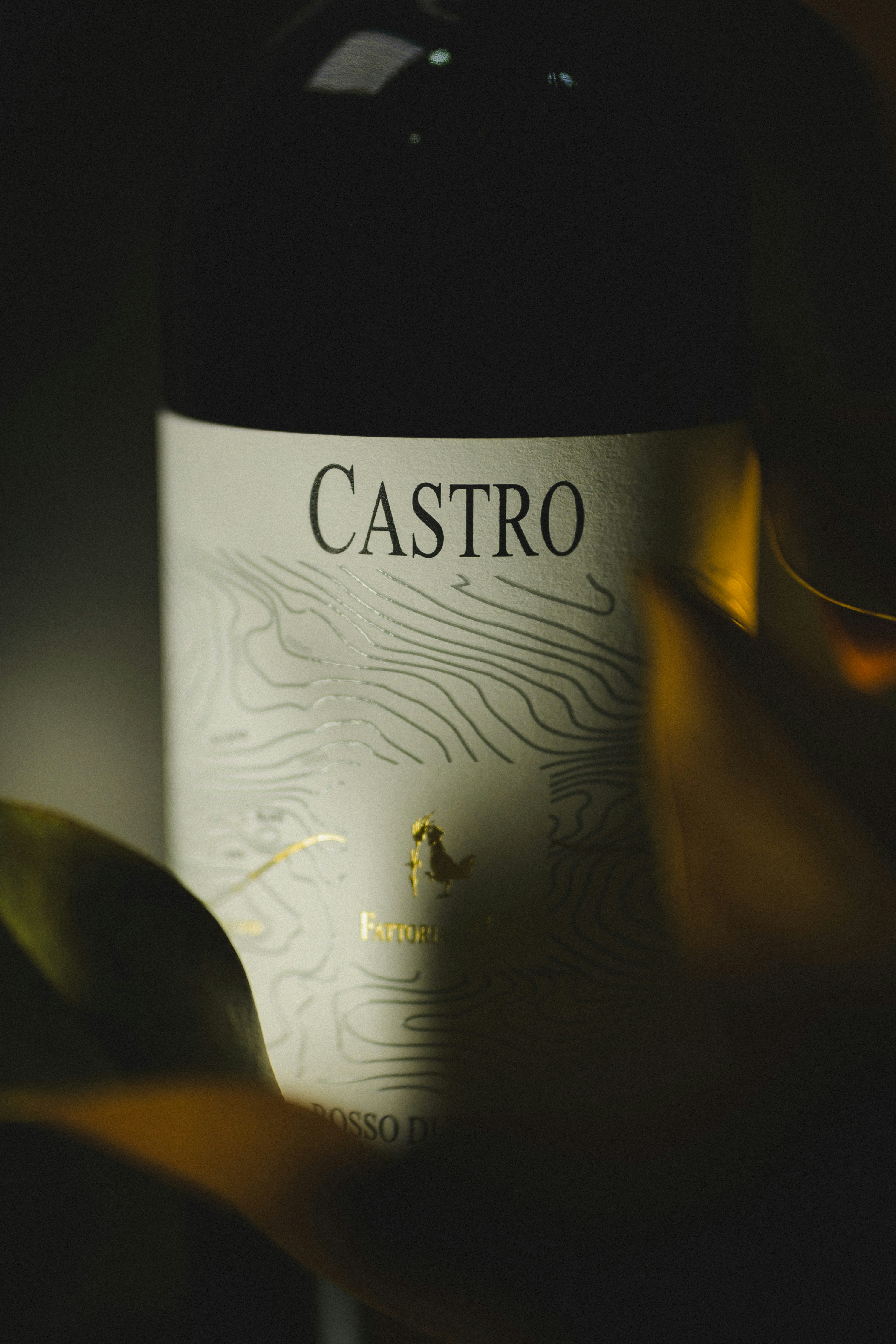 Nocturne on the label: a Castro wine bottle bathed in amber glow