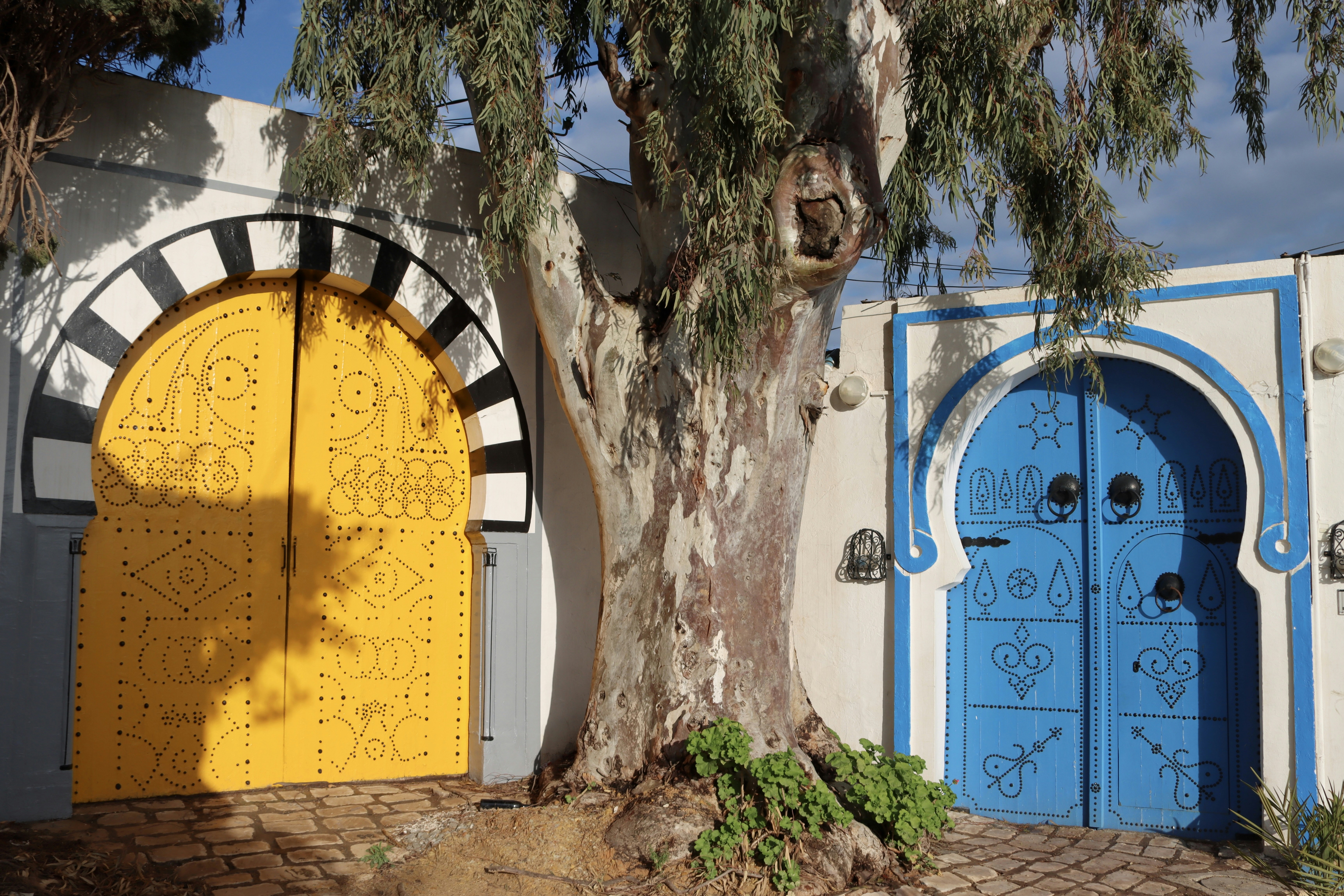 A tree in front of a building with a yellow door photo – Free Blue ...