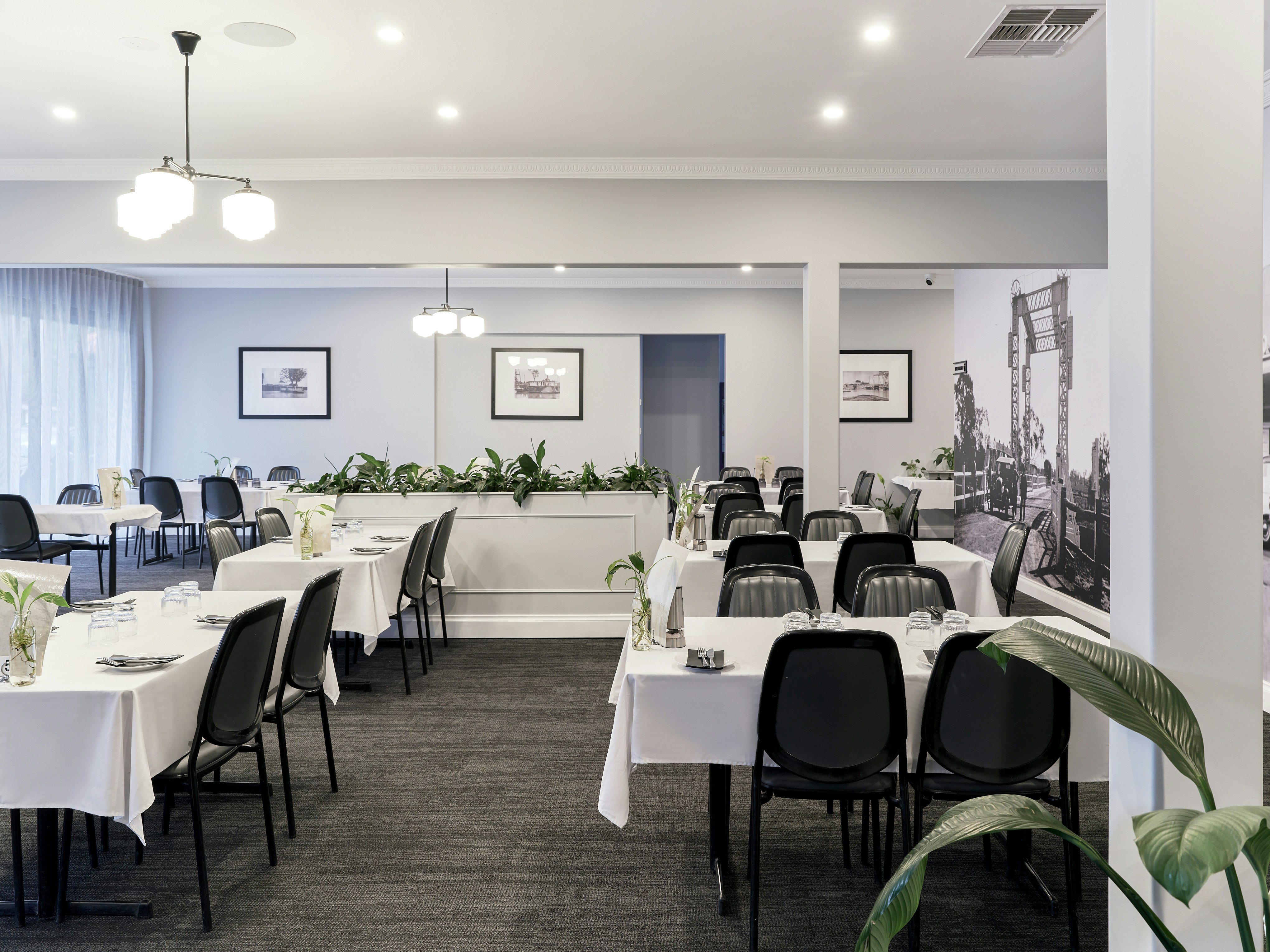 A room with tables and chairs and a plant photo – Free Business Image ...