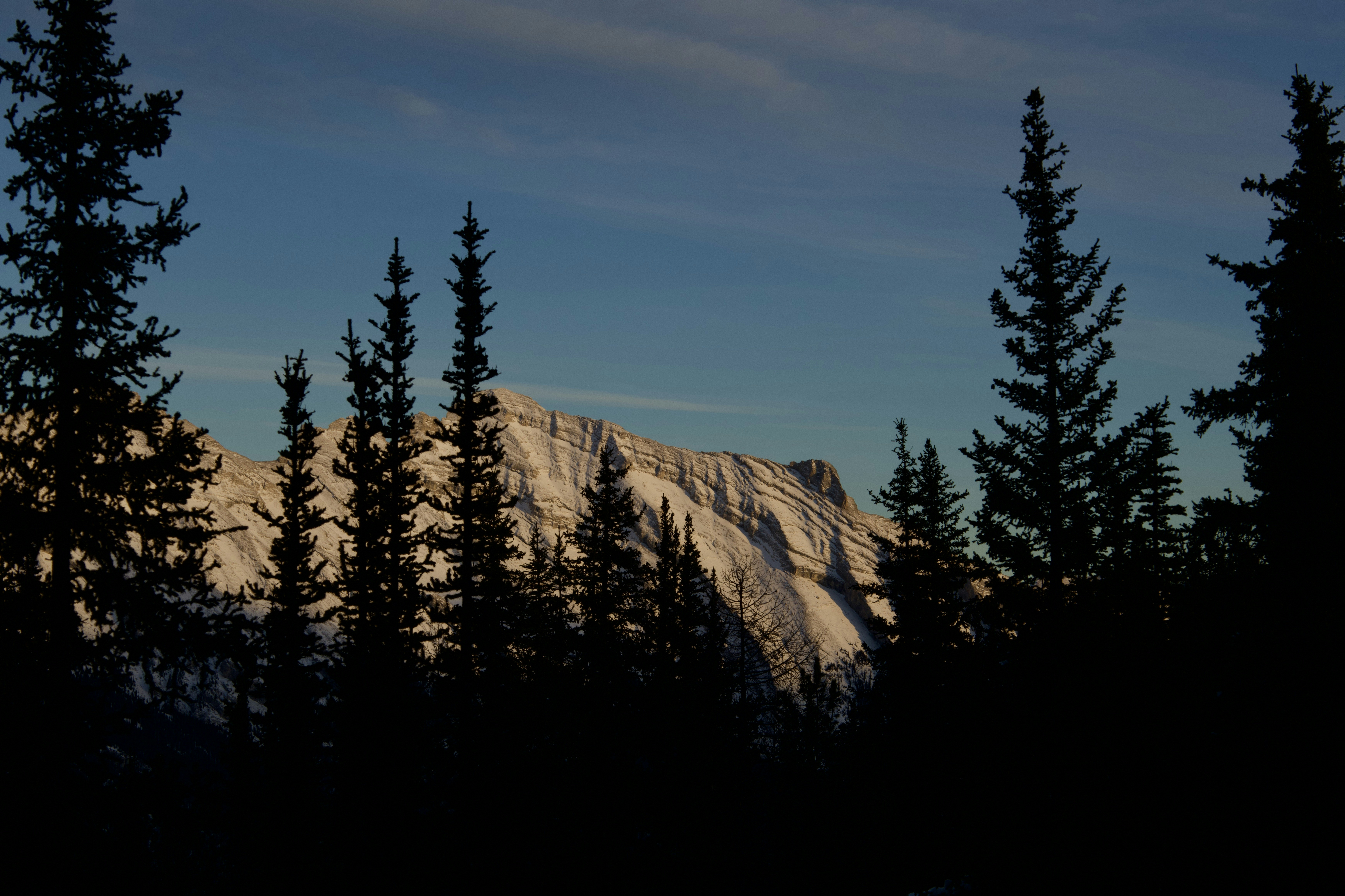Snow-capped mountains rise behind silhouetted trees under a twilight sky.