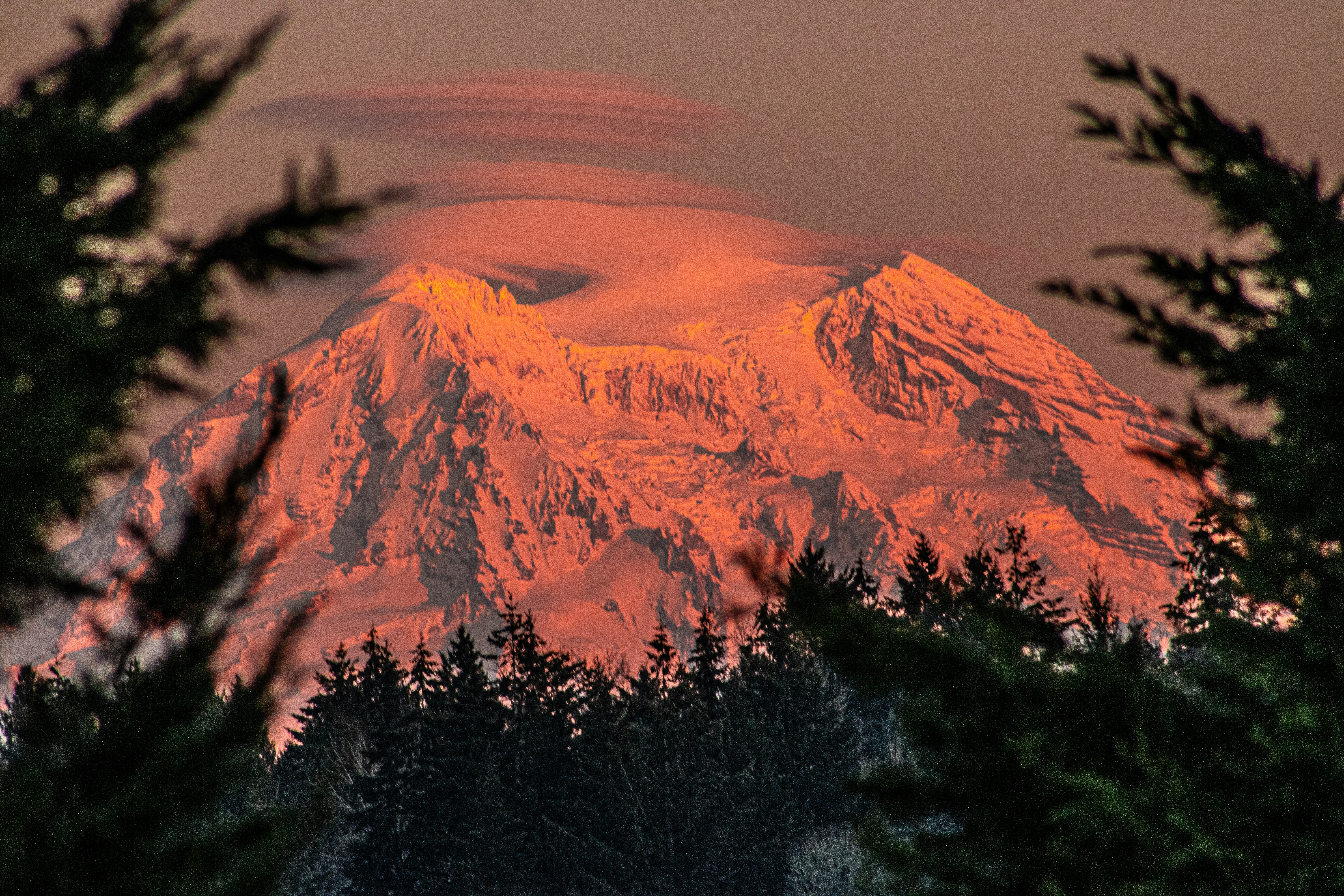 Snow-capped mountain glowing with warm sunset hues framed by dark silhouetted trees.