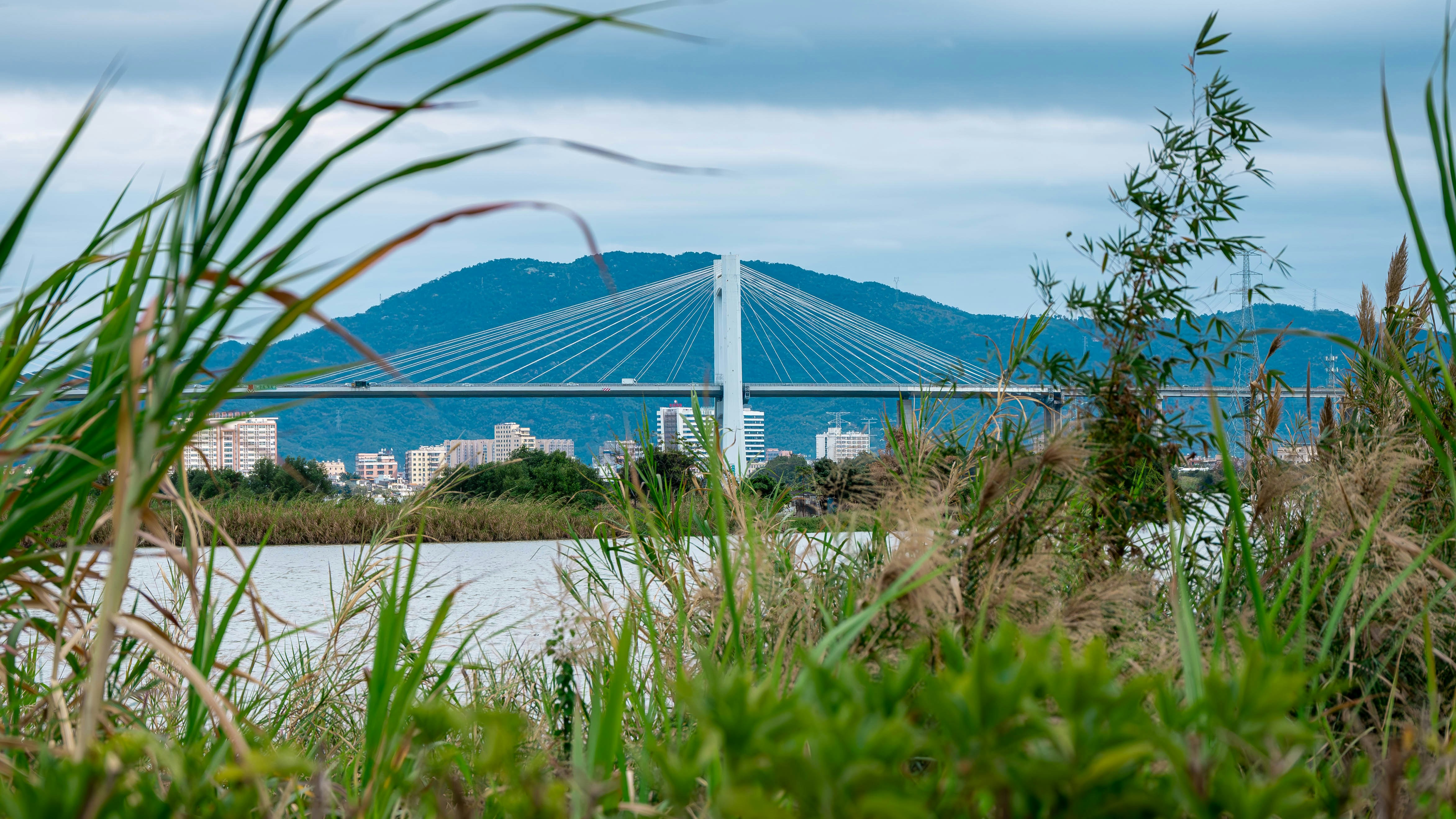 Cable-stayed bridge set against a backdrop of mountains, framed by lush greenery under a cloudy sky.